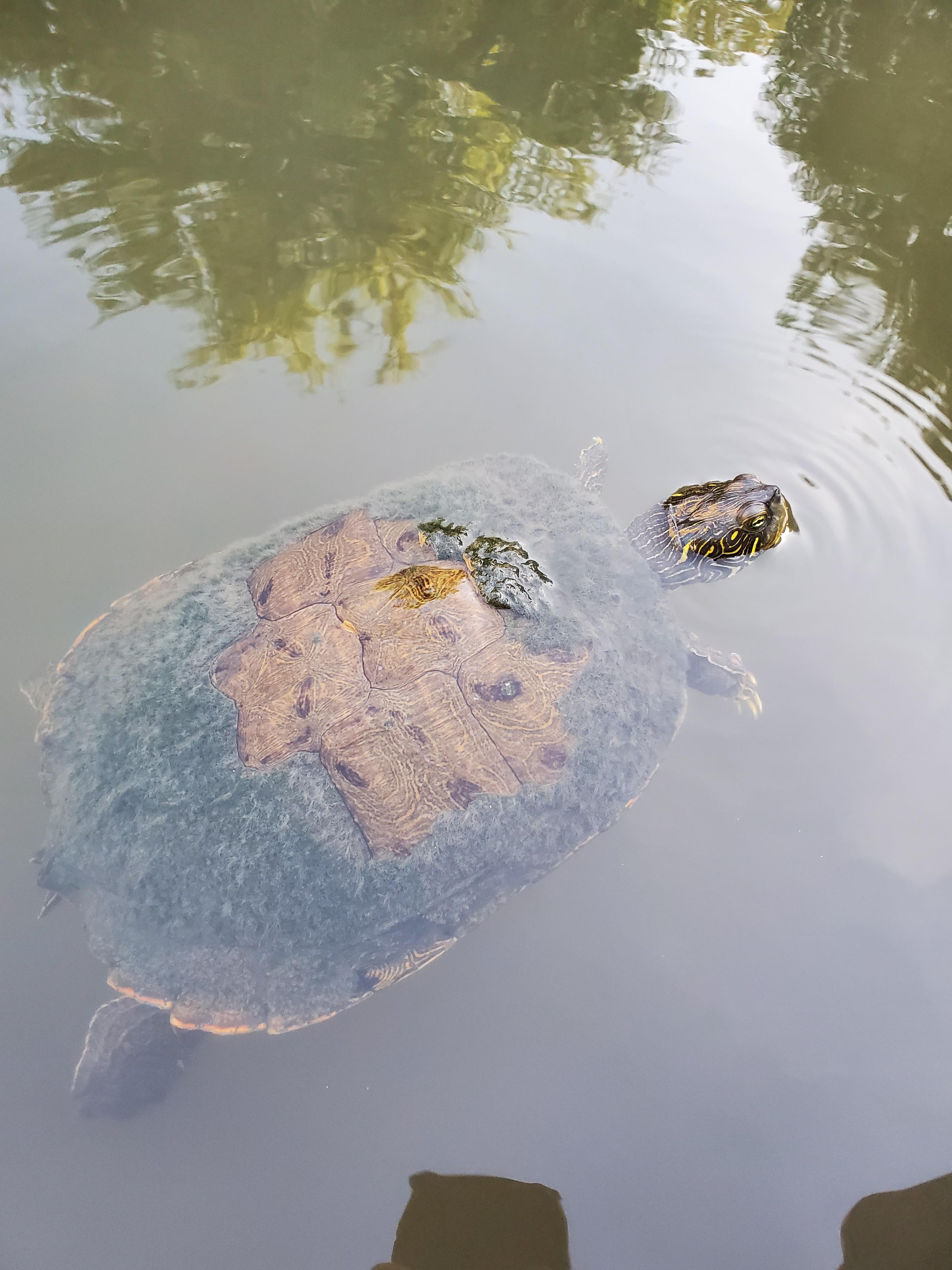 data_irl | Scrolller