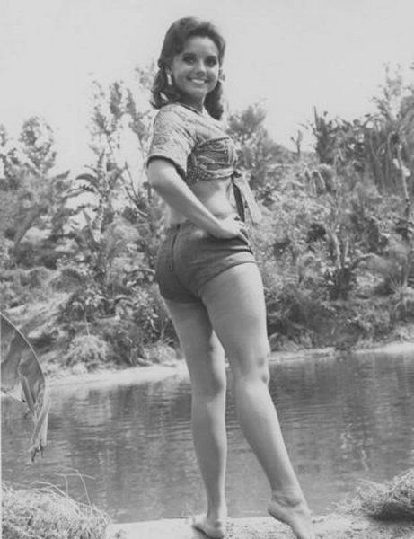 Dawn Wells 1960's. She was always my choice! | Scrolller