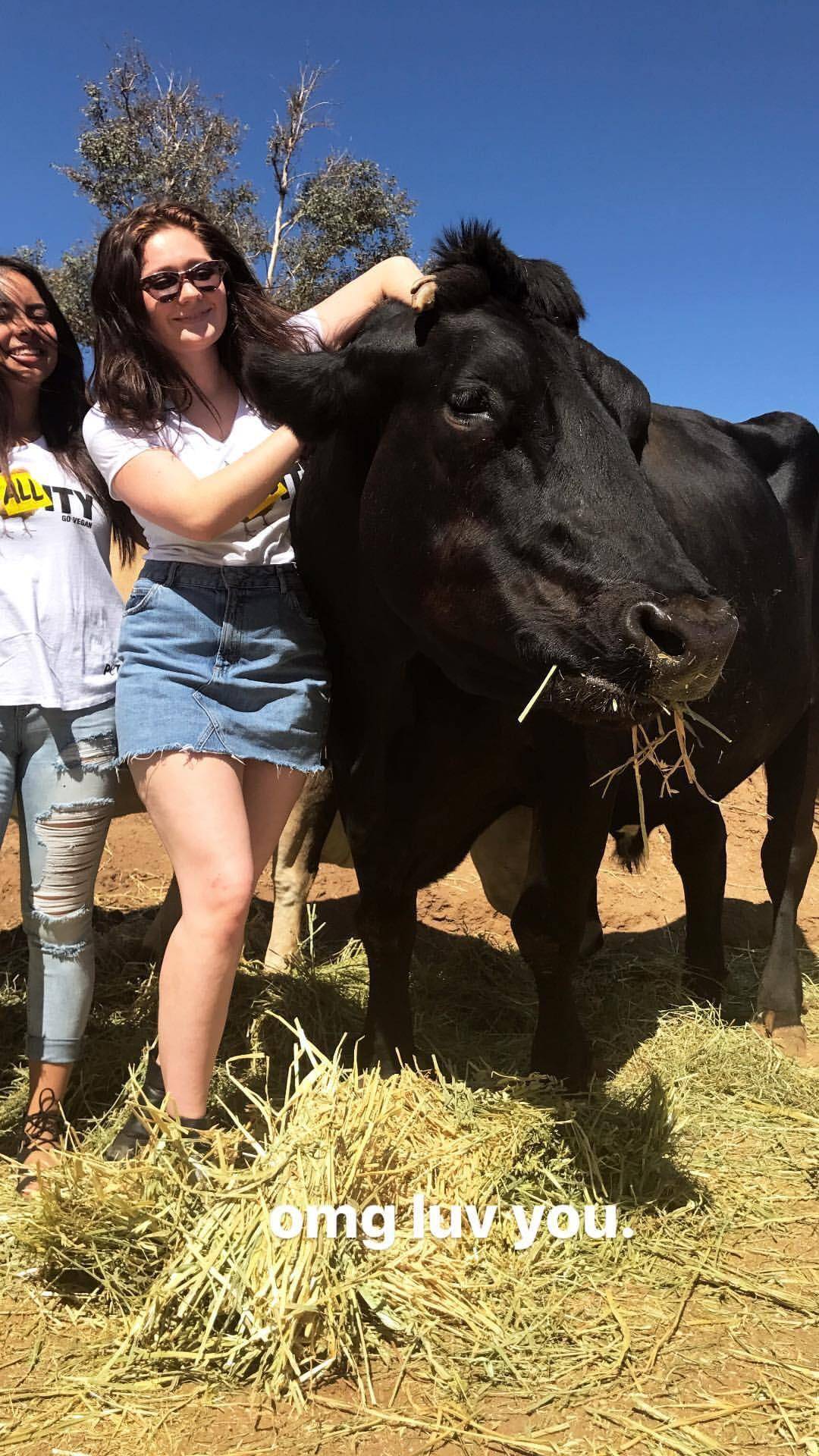 Day at the farm | Scrolller