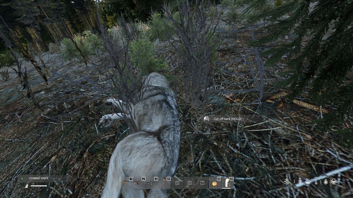 DayZ 1.14 Easter Egg? | Scrolller