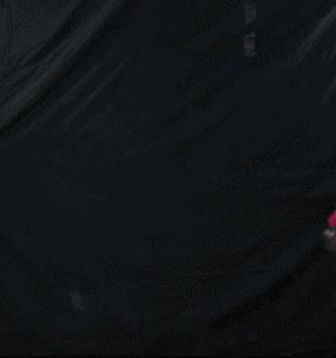 Debbie & Lauren Schwartz [gif][via nsfw2] | Scrolller