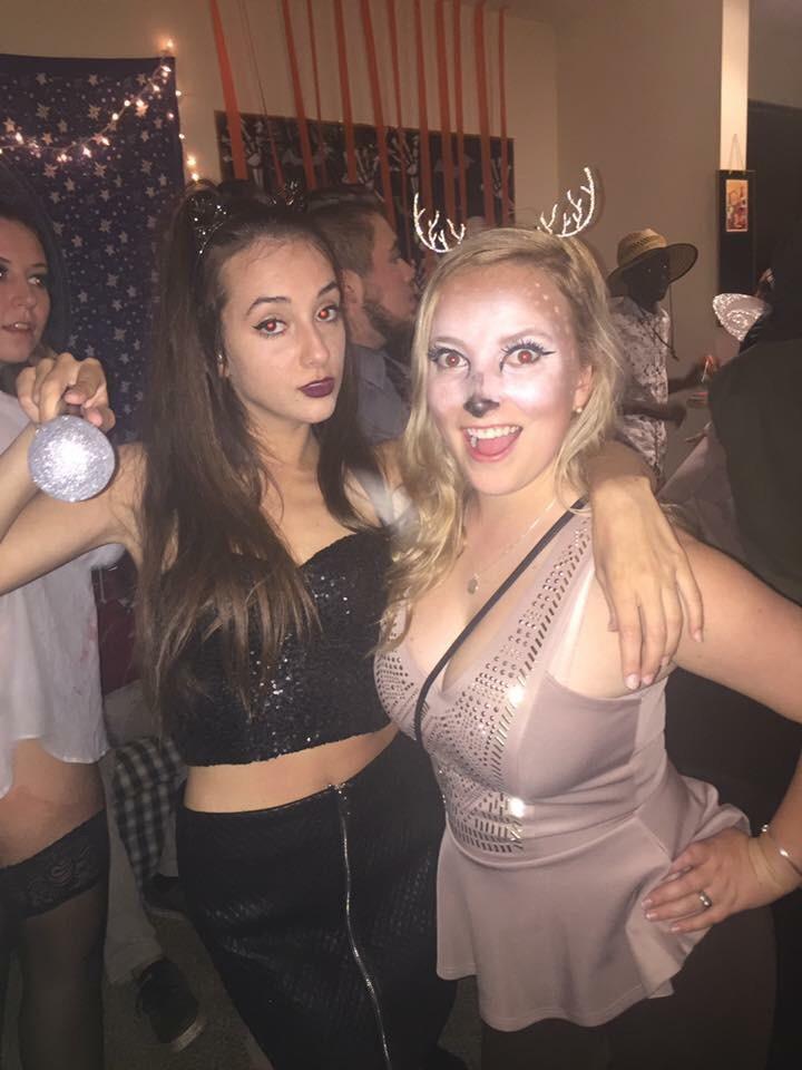 Deer in the headlights | Scrolller