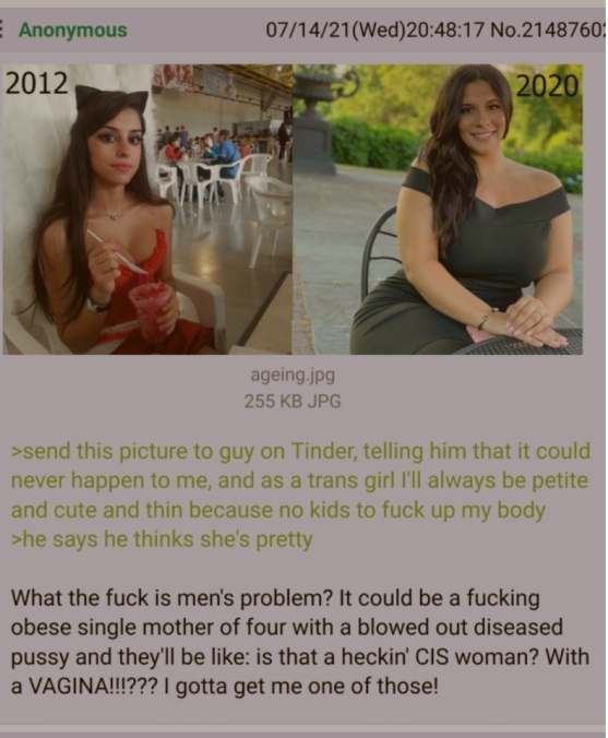 Delusions by the Trannies part 454 | Scrolller