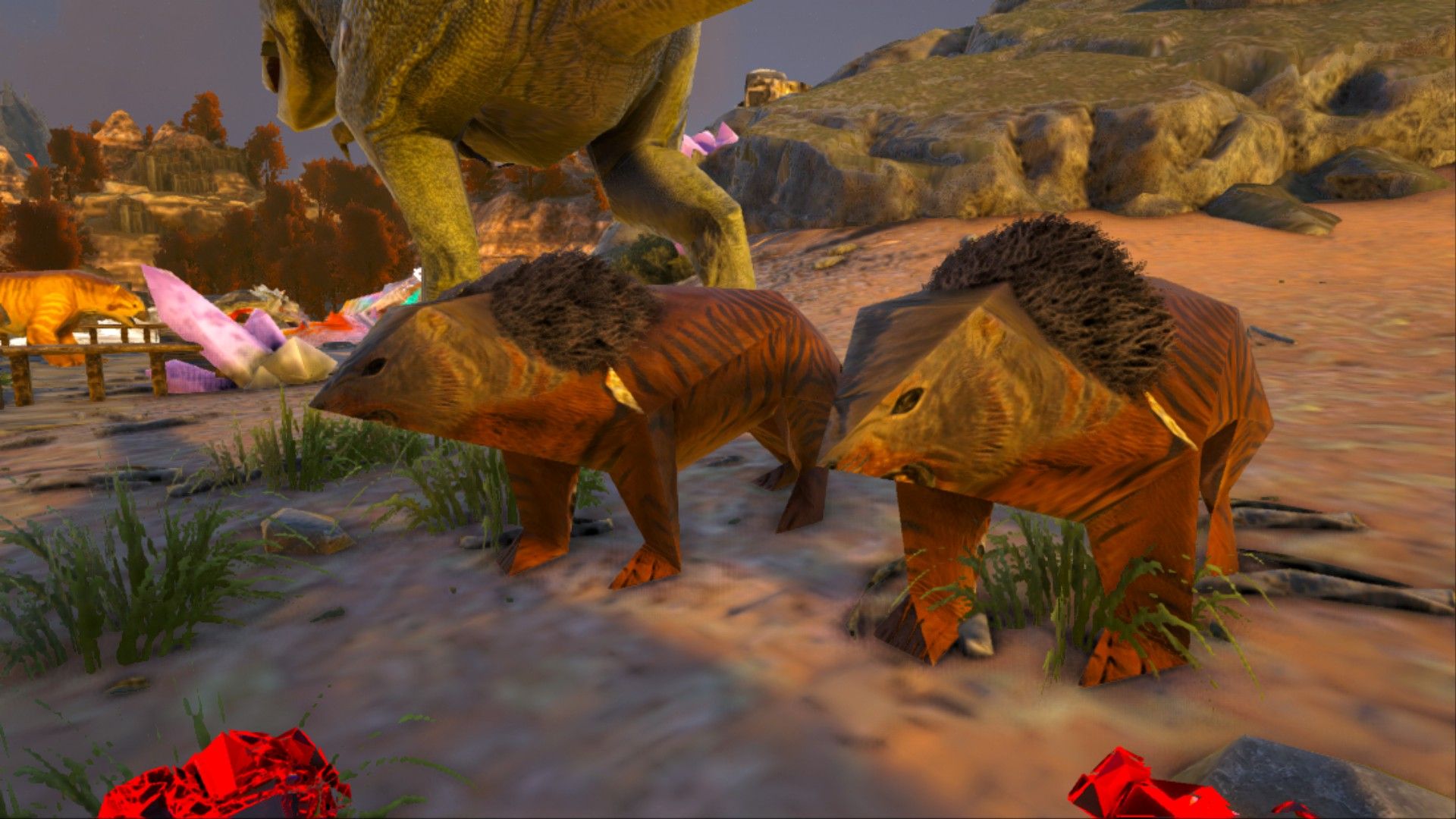 Describe Ark with one picture: | Scrolller