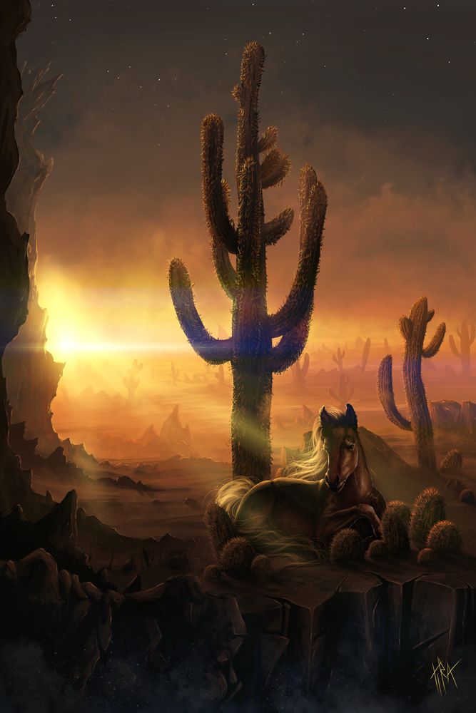 Desert by Ilona Tsymbal | Scrolller