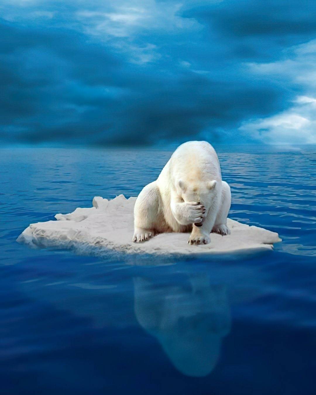 Desperation - Ursula Di Chito, Germany, 2010 | Scrolller