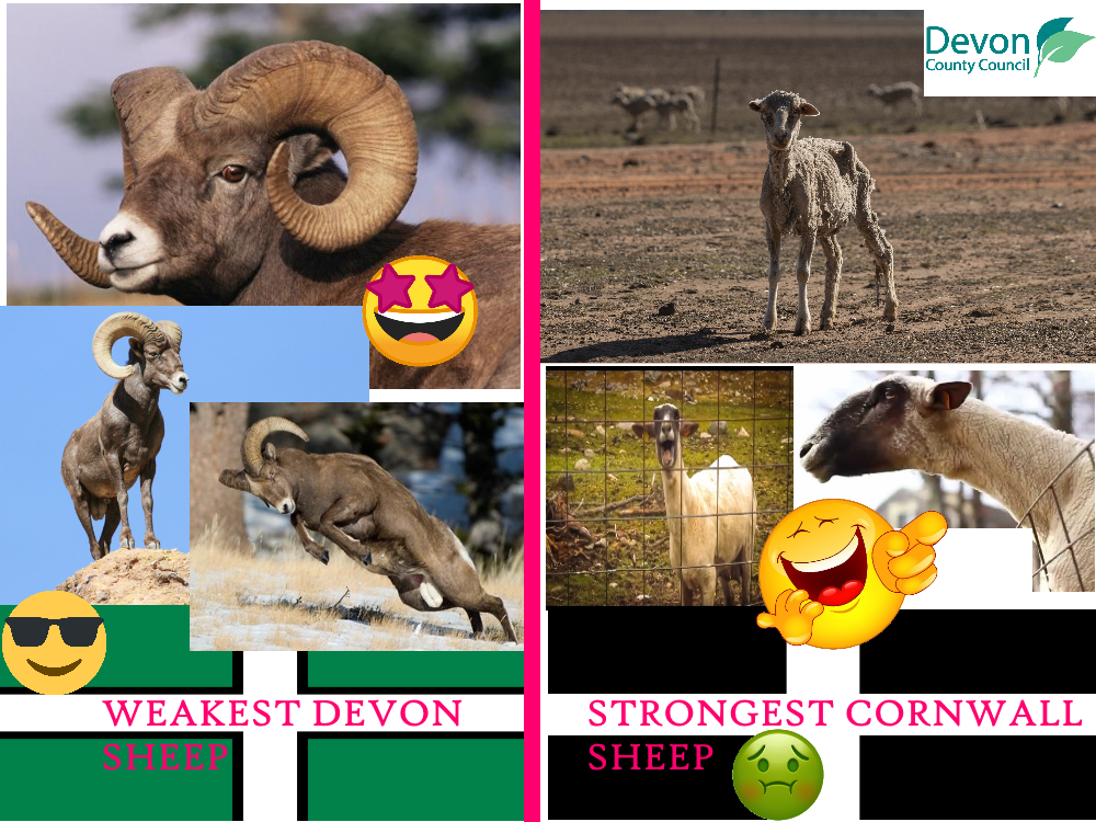 devon rule | Scrolller