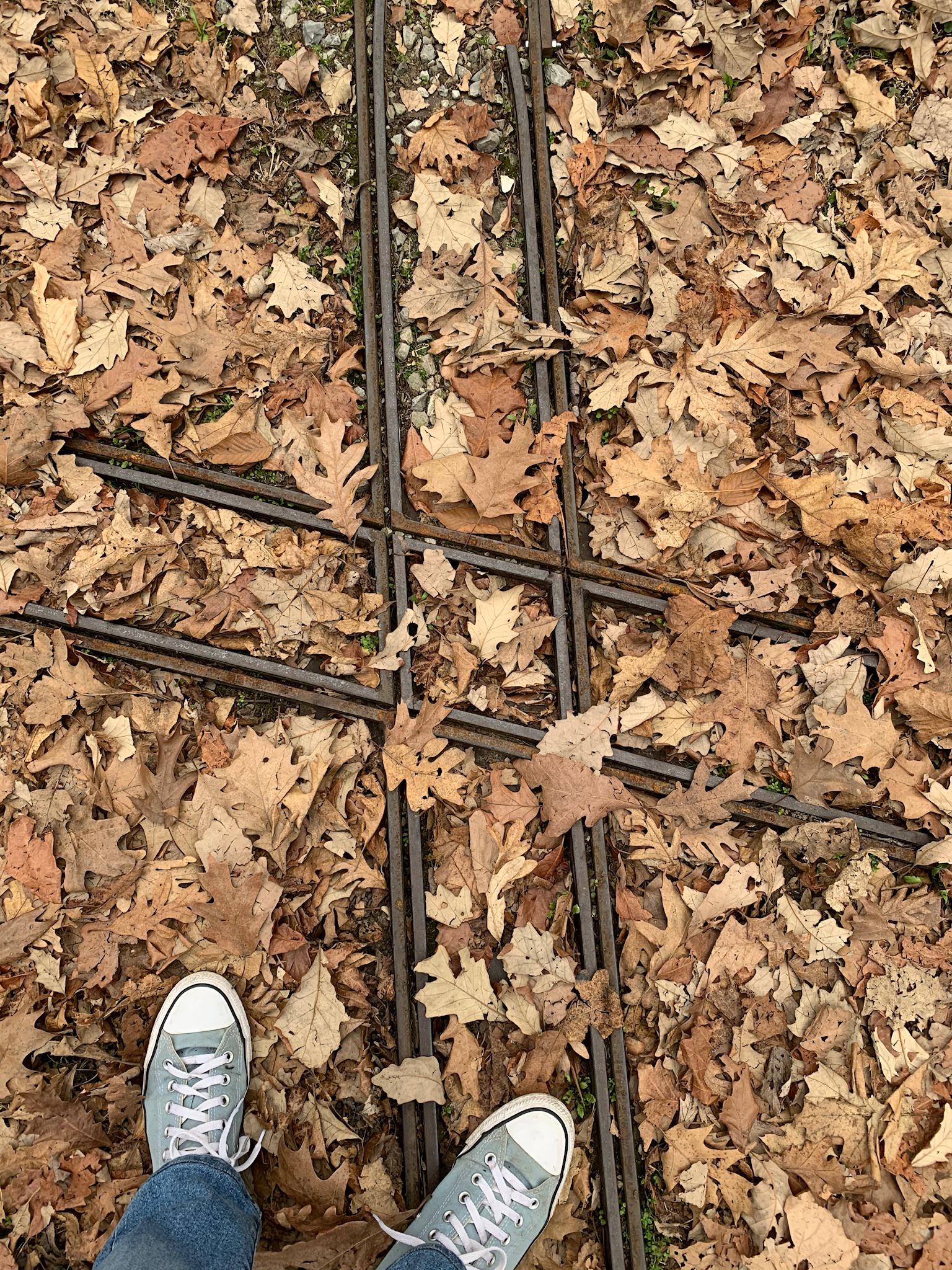 Diamond crossing for a abandoned toy train track | Scrolller