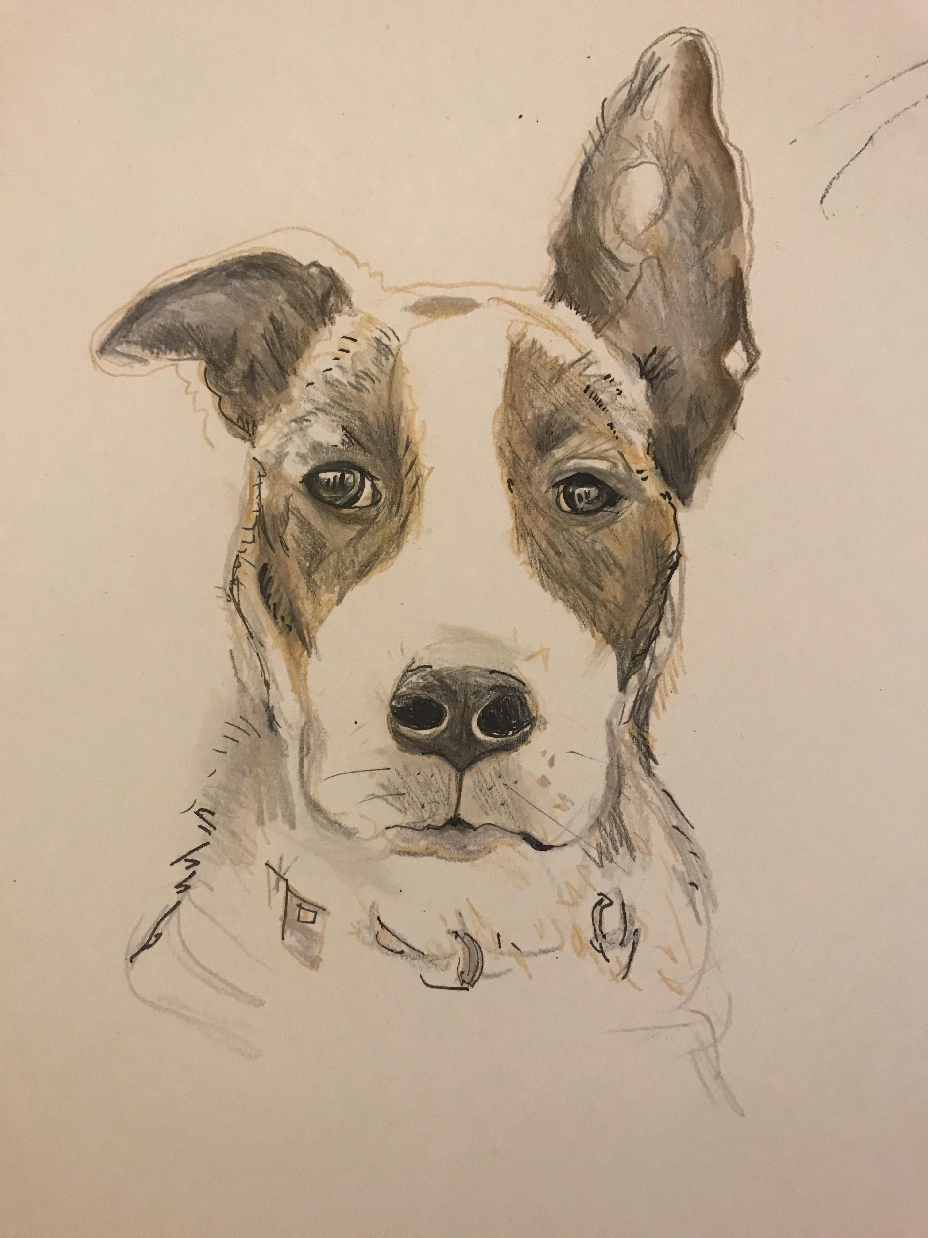 Did you say BISCUIT? | Scrolller