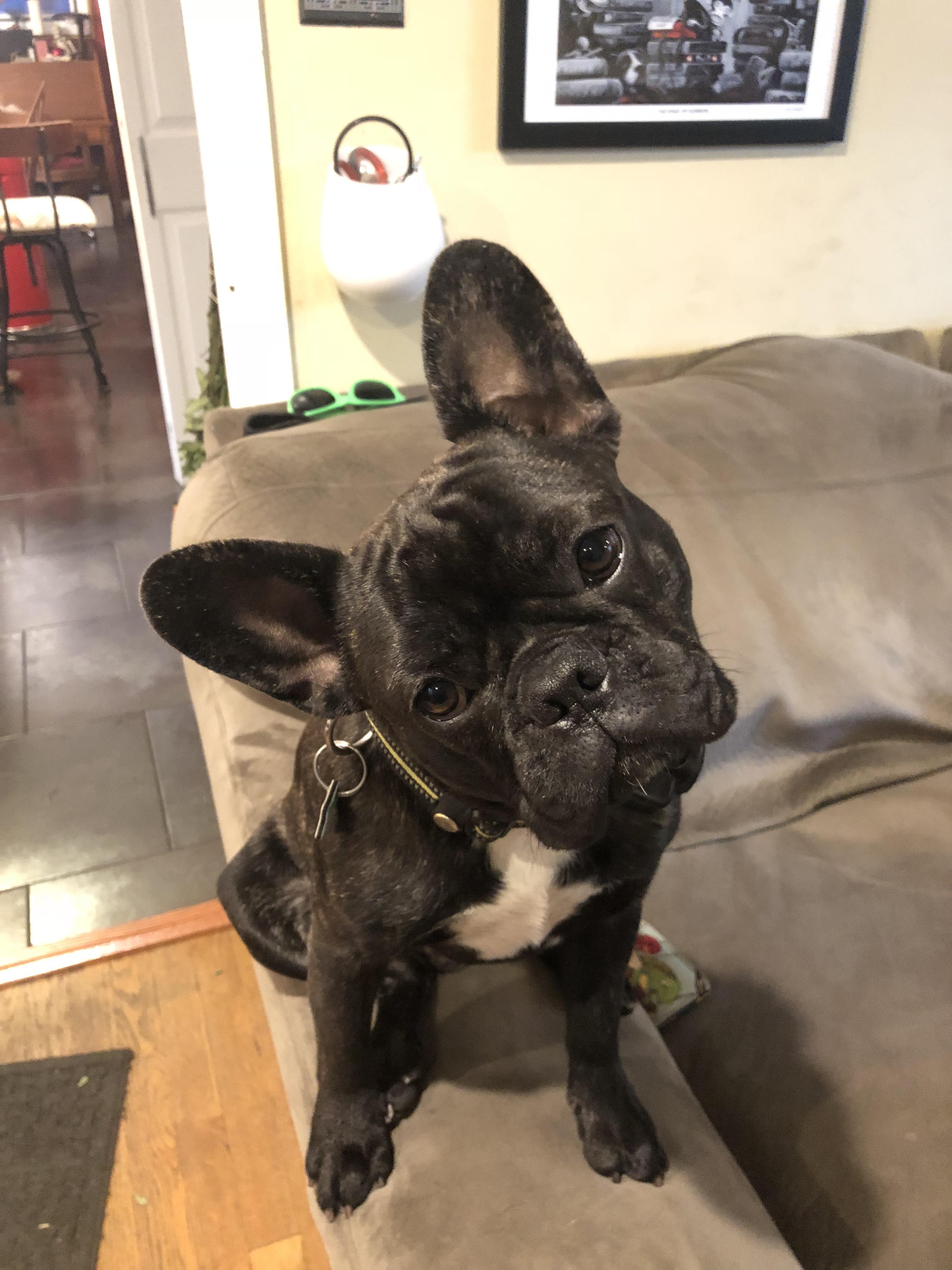 Did you say something? | Scrolller