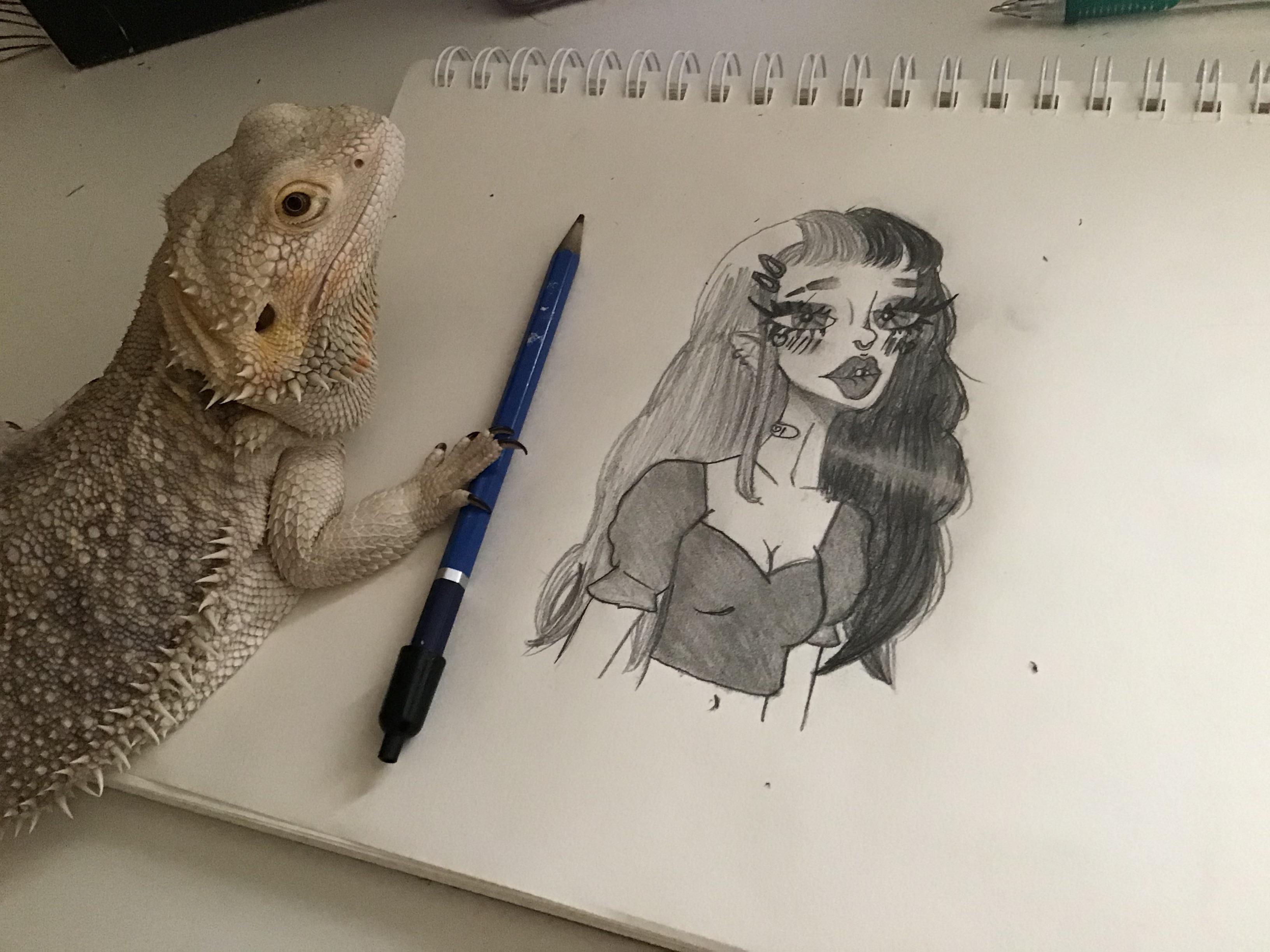 Didn't know my lizard was a fan | Scrolller