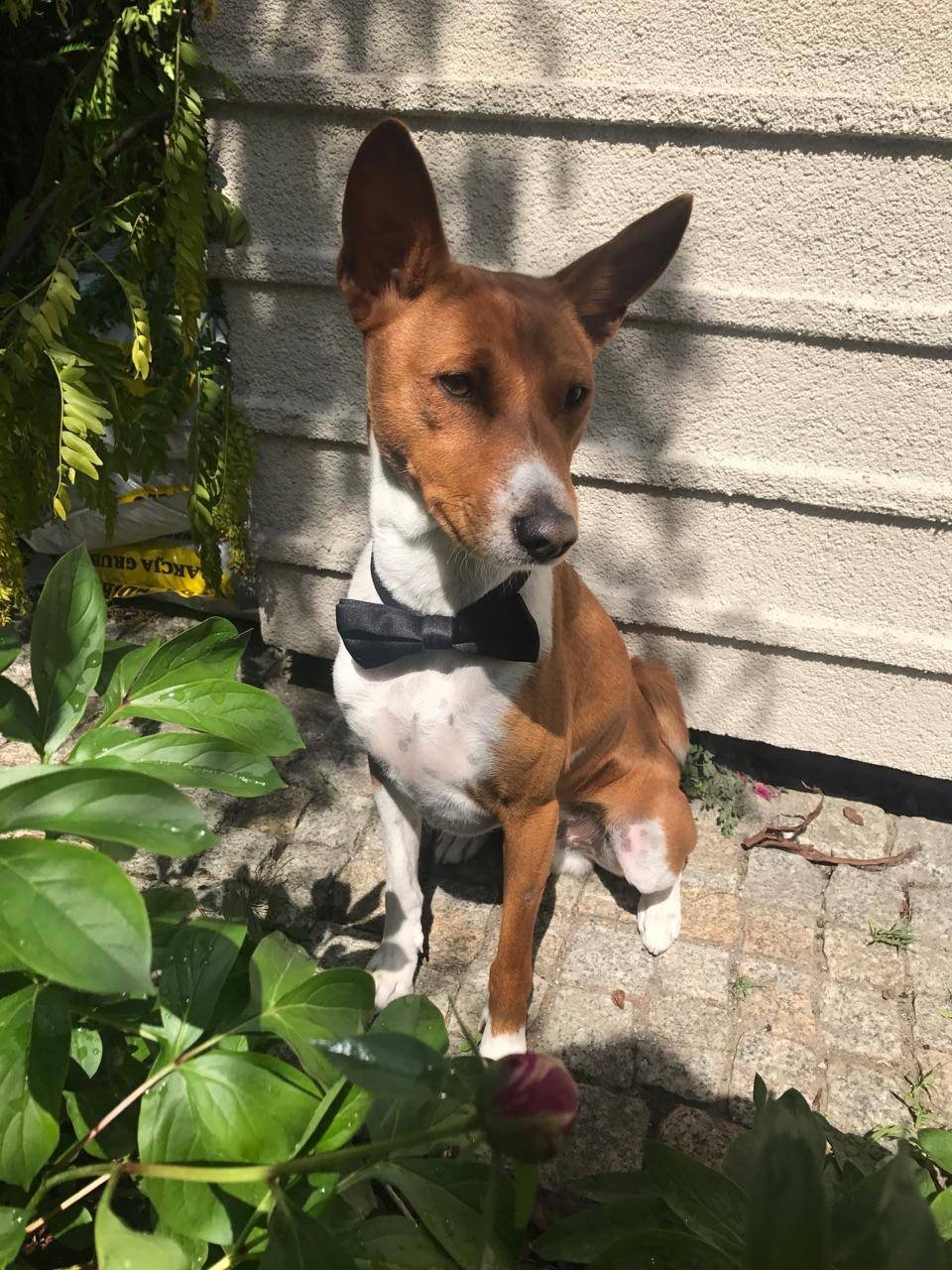 Diego handsome as ever! | Scrolller