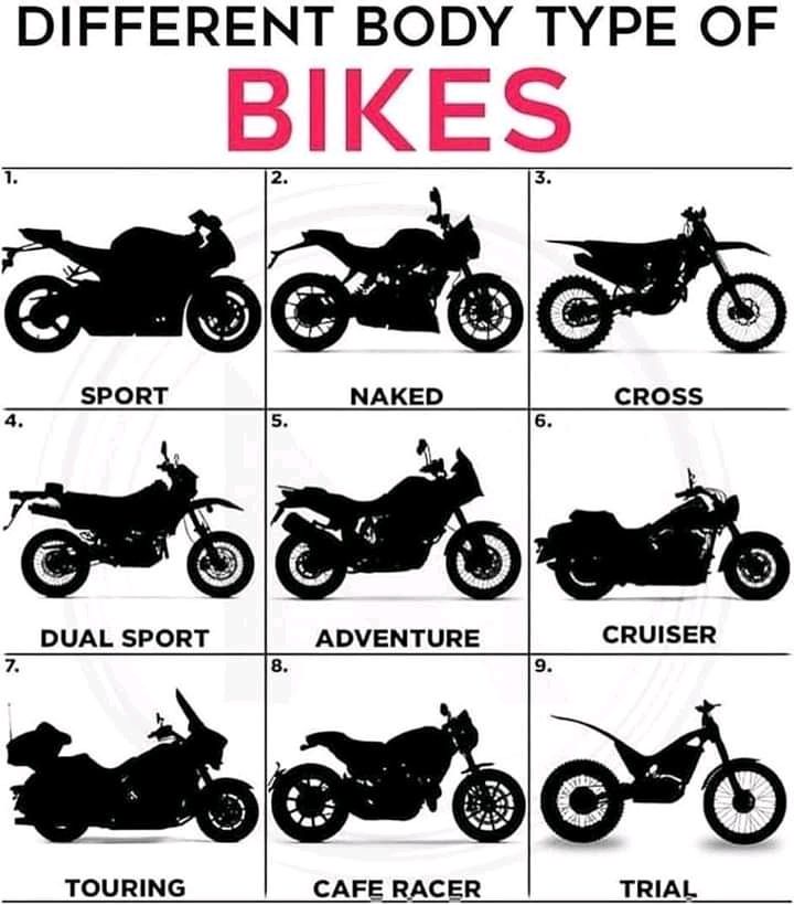 Different body types of Bikes | Scrolller