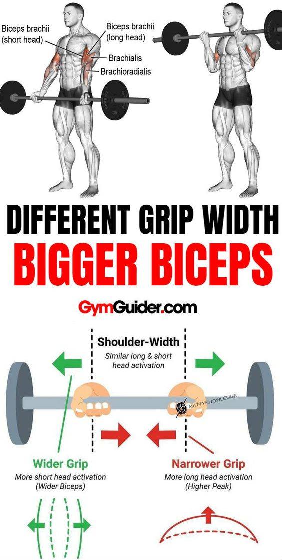 Different Grip Width Bigger Biceps | Scrolller