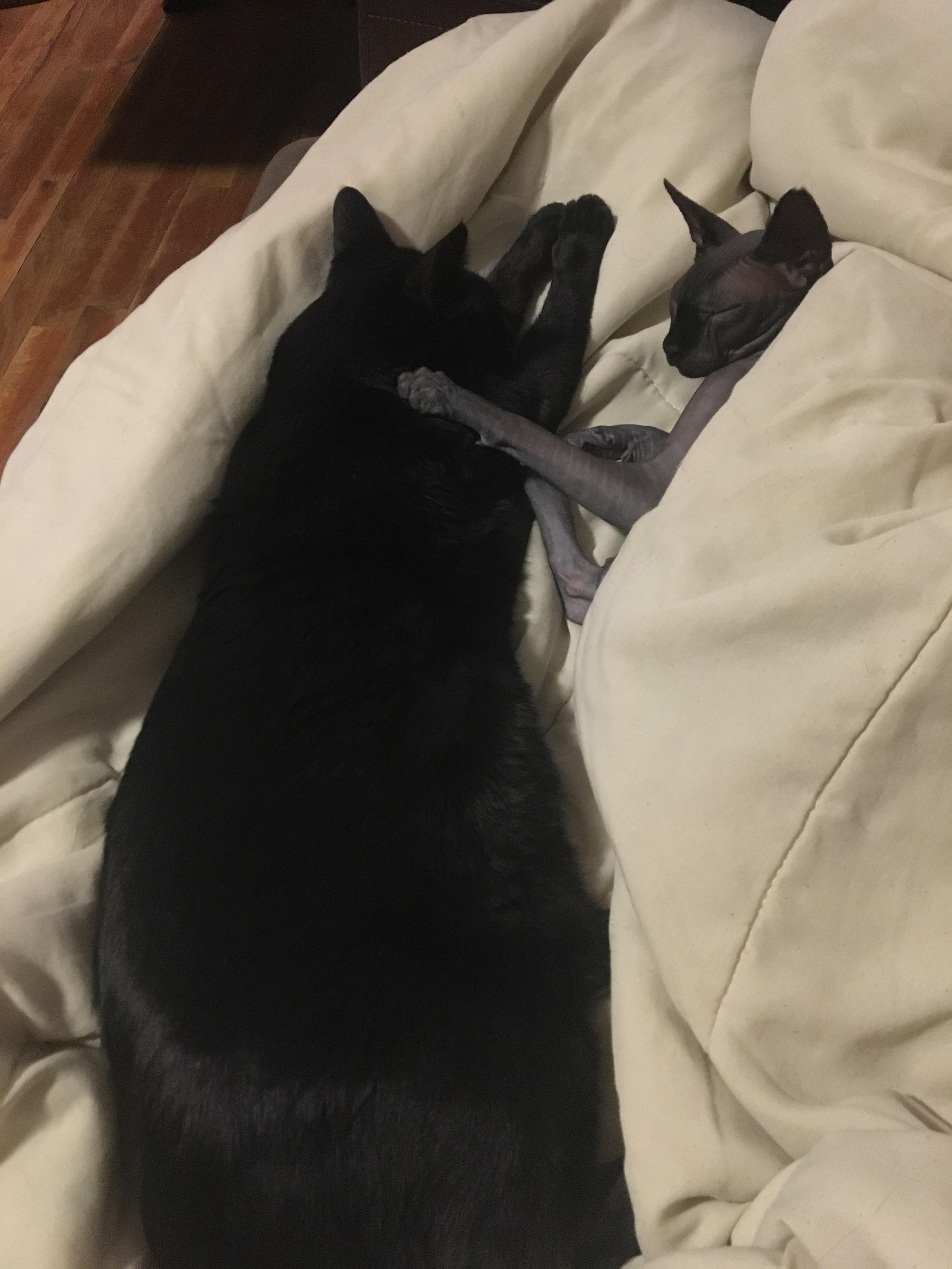 Different needs for different breeds | Scrolller