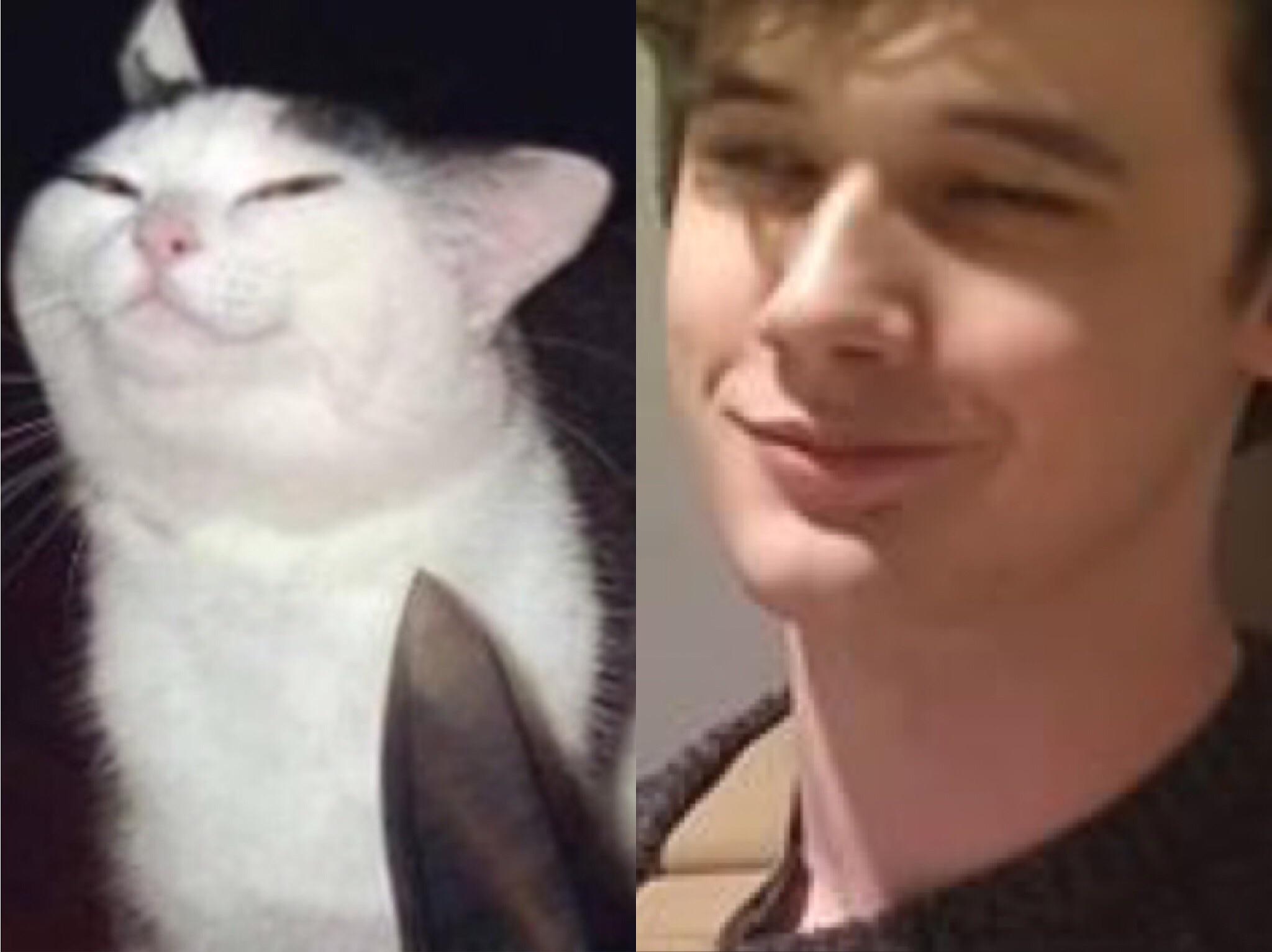 different pictures but same energy | Scrolller