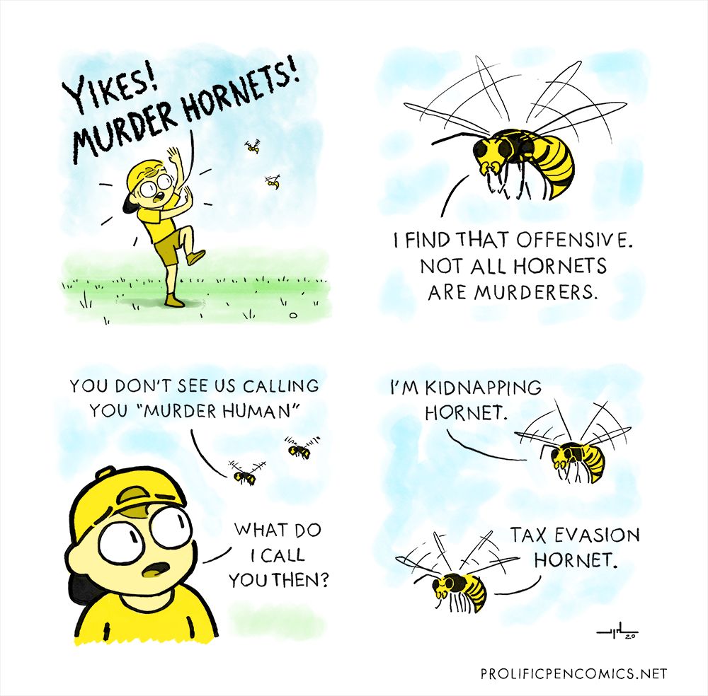 different types of hornets | Scrolller