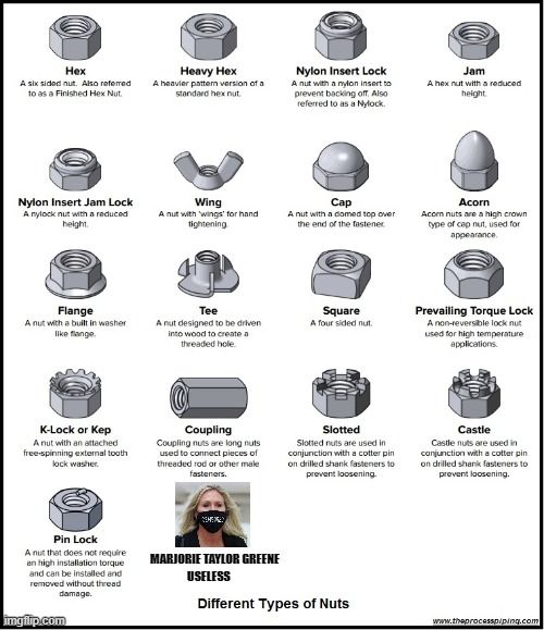 Different types of nuts | Scrolller