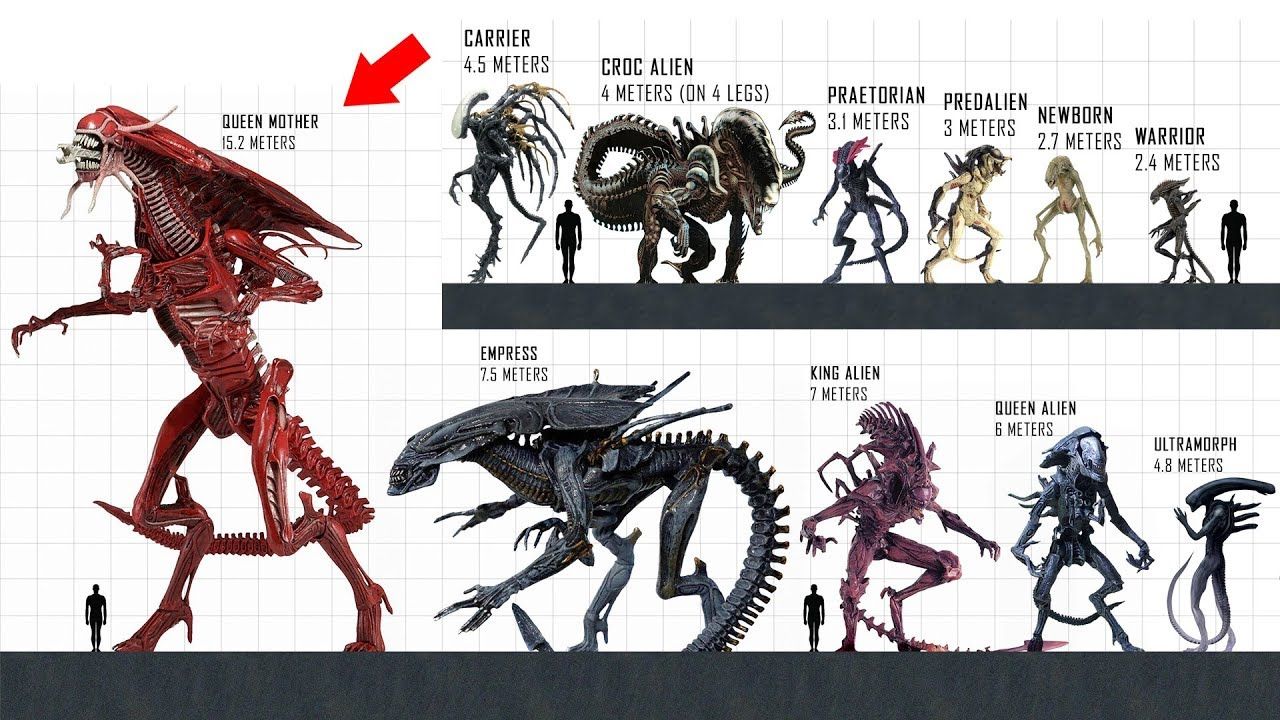 Diffrent xenomorph types | Scrolller