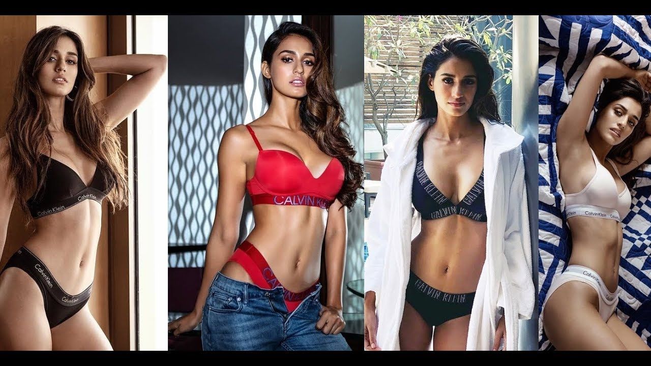 Disha Patani | Scrolller