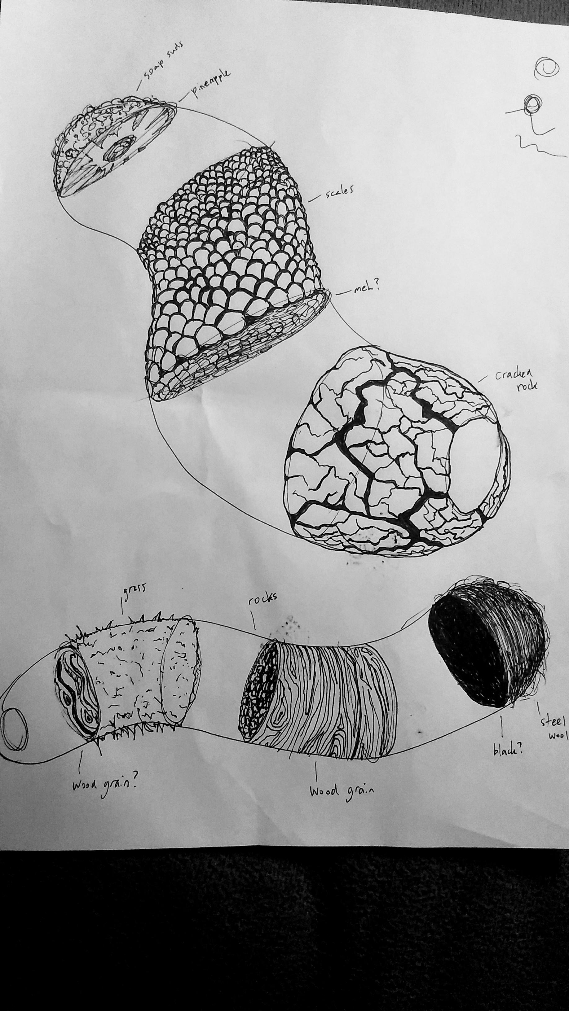 Dissections exercise | Scrolller