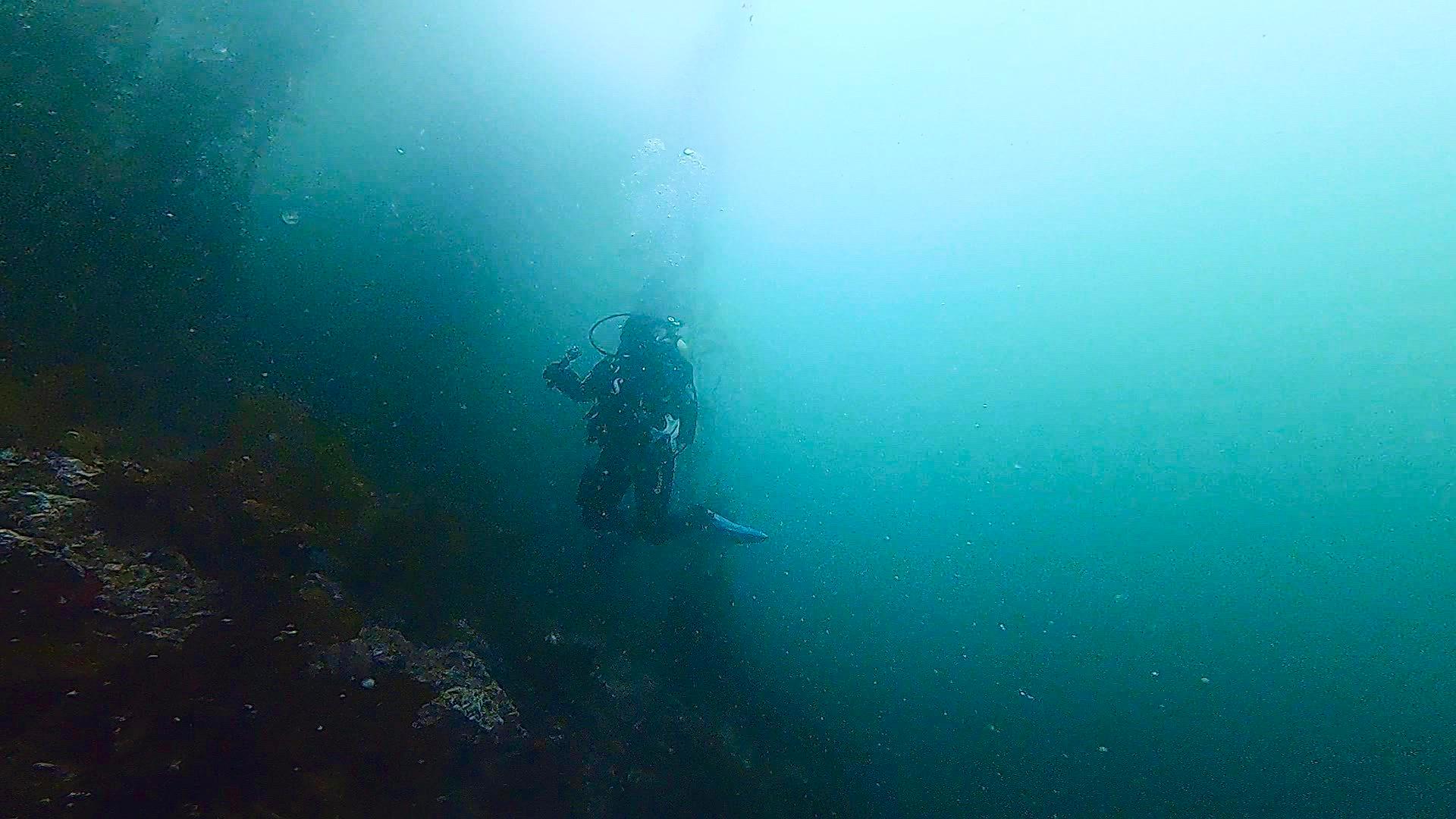 Diving in SE Alaska | Scrolller