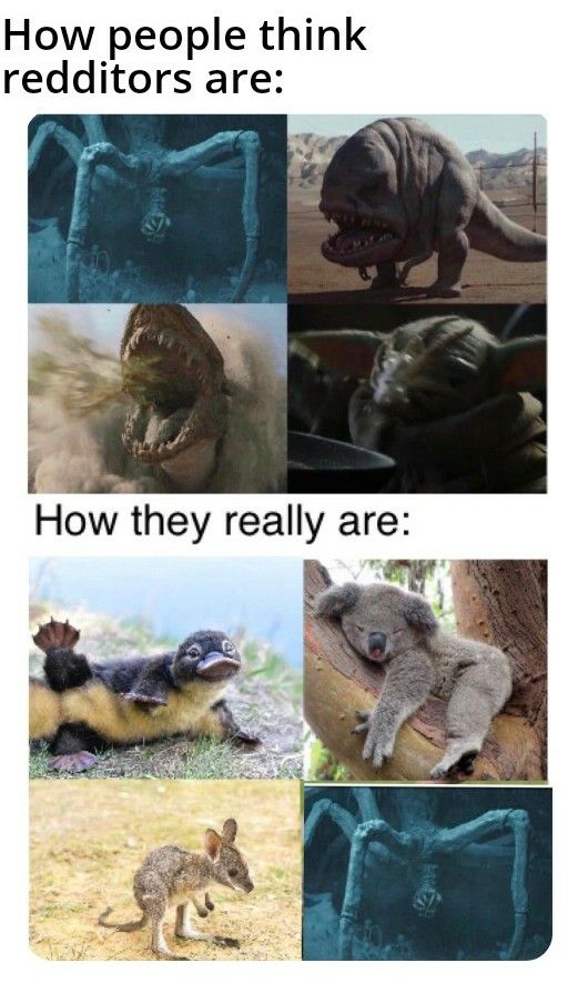 Do be like dat doe | Scrolller