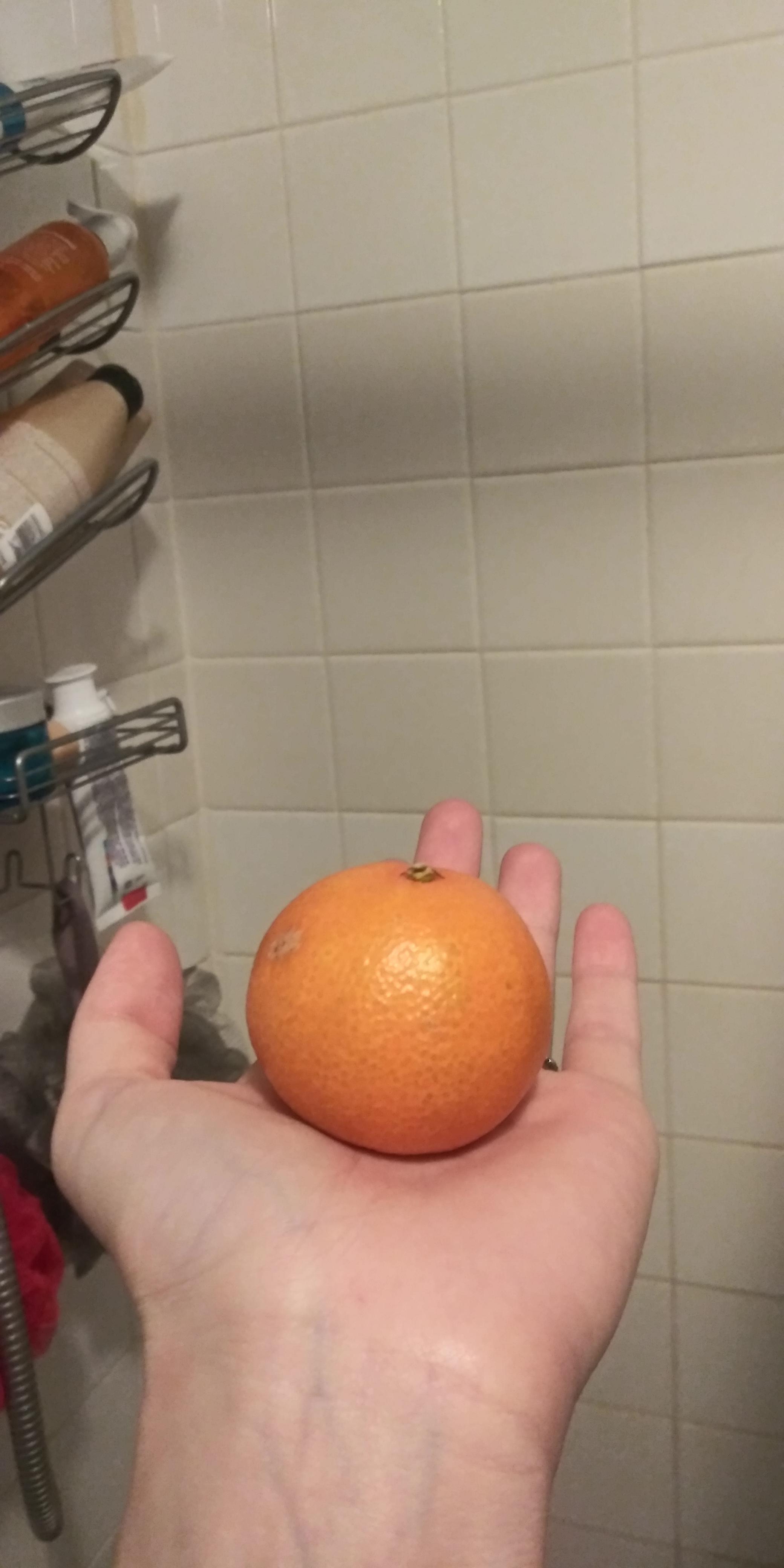 Do mandarin oranges count? | Scrolller