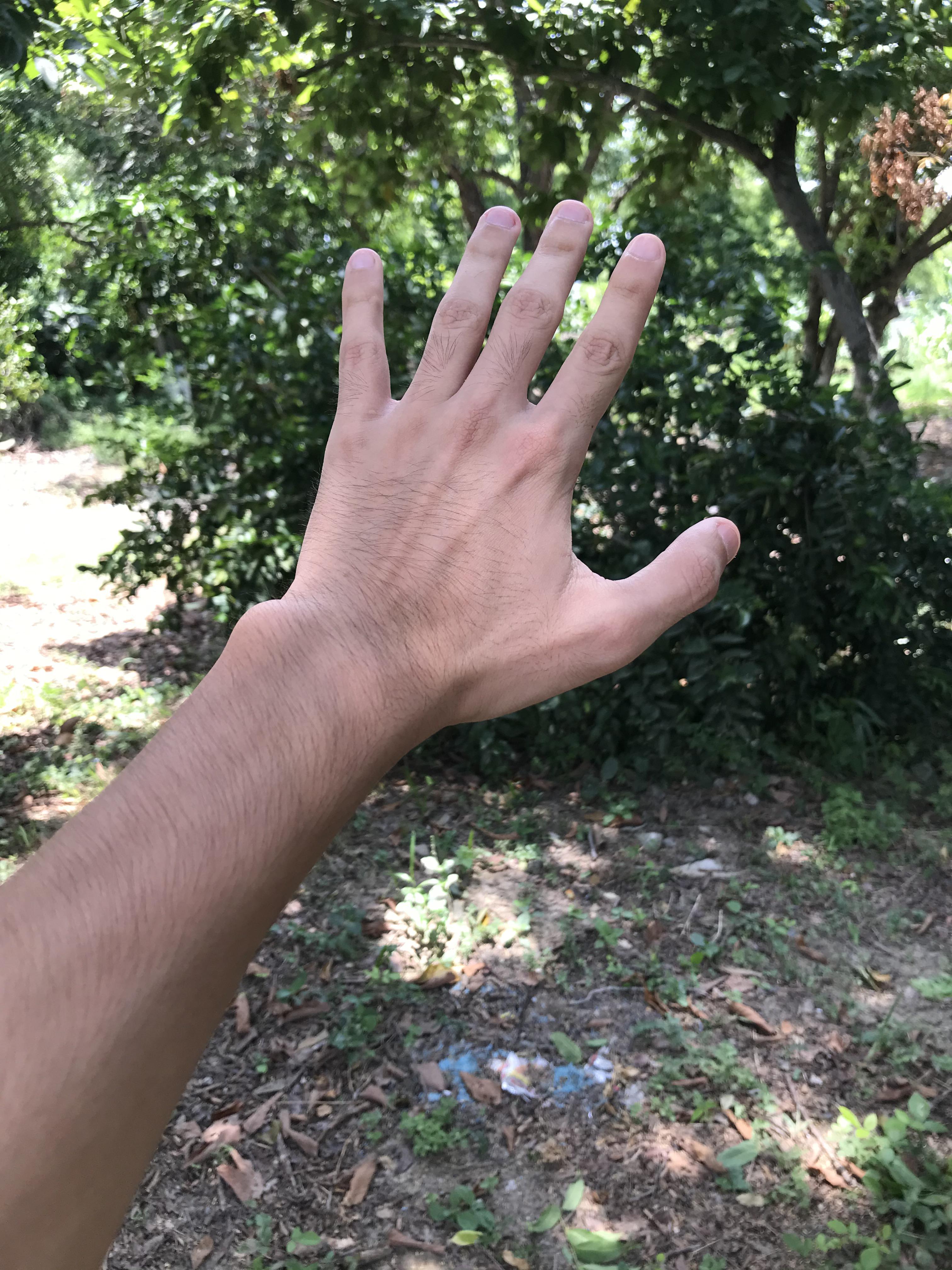 Do you like my hands?💕🥺 | Scrolller