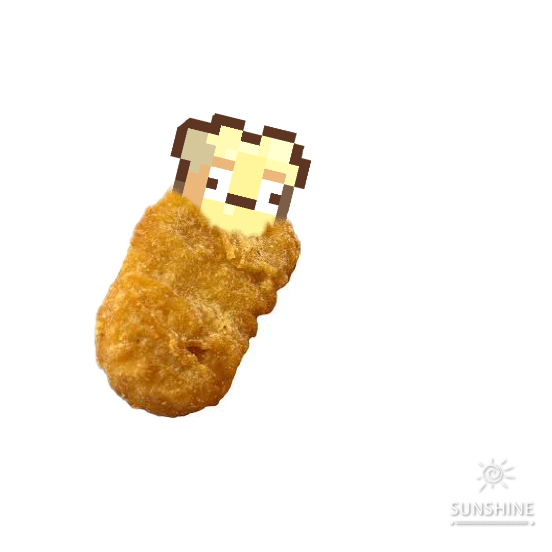 Do you like nuggets nugget blanket? | Scrolller