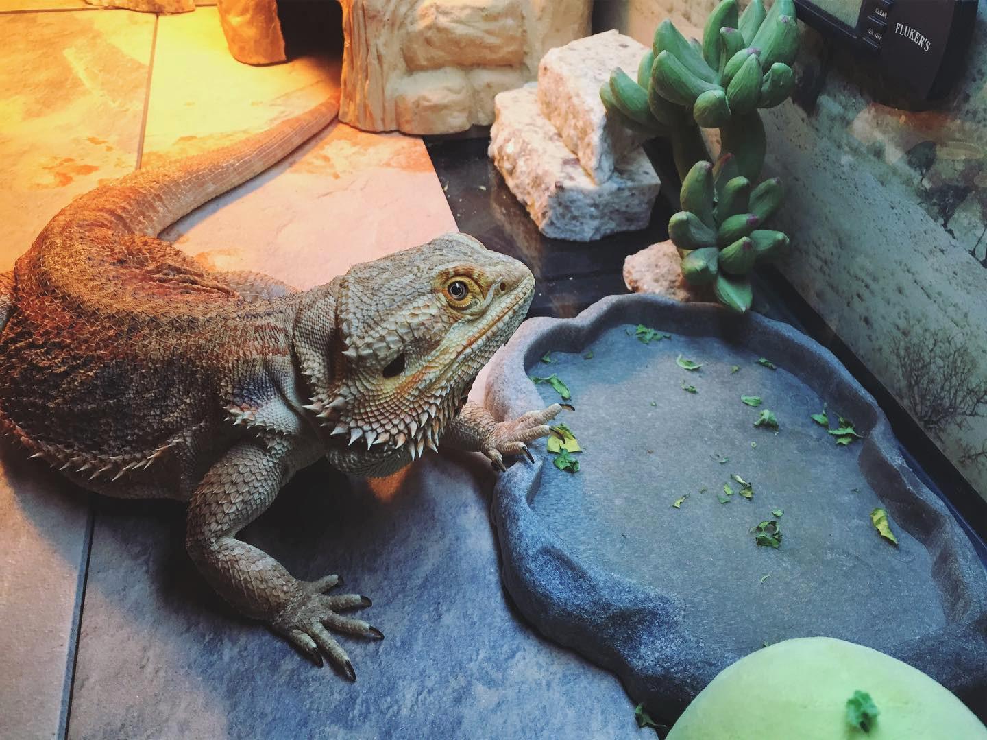 Do you think she wants something? | Scrolller