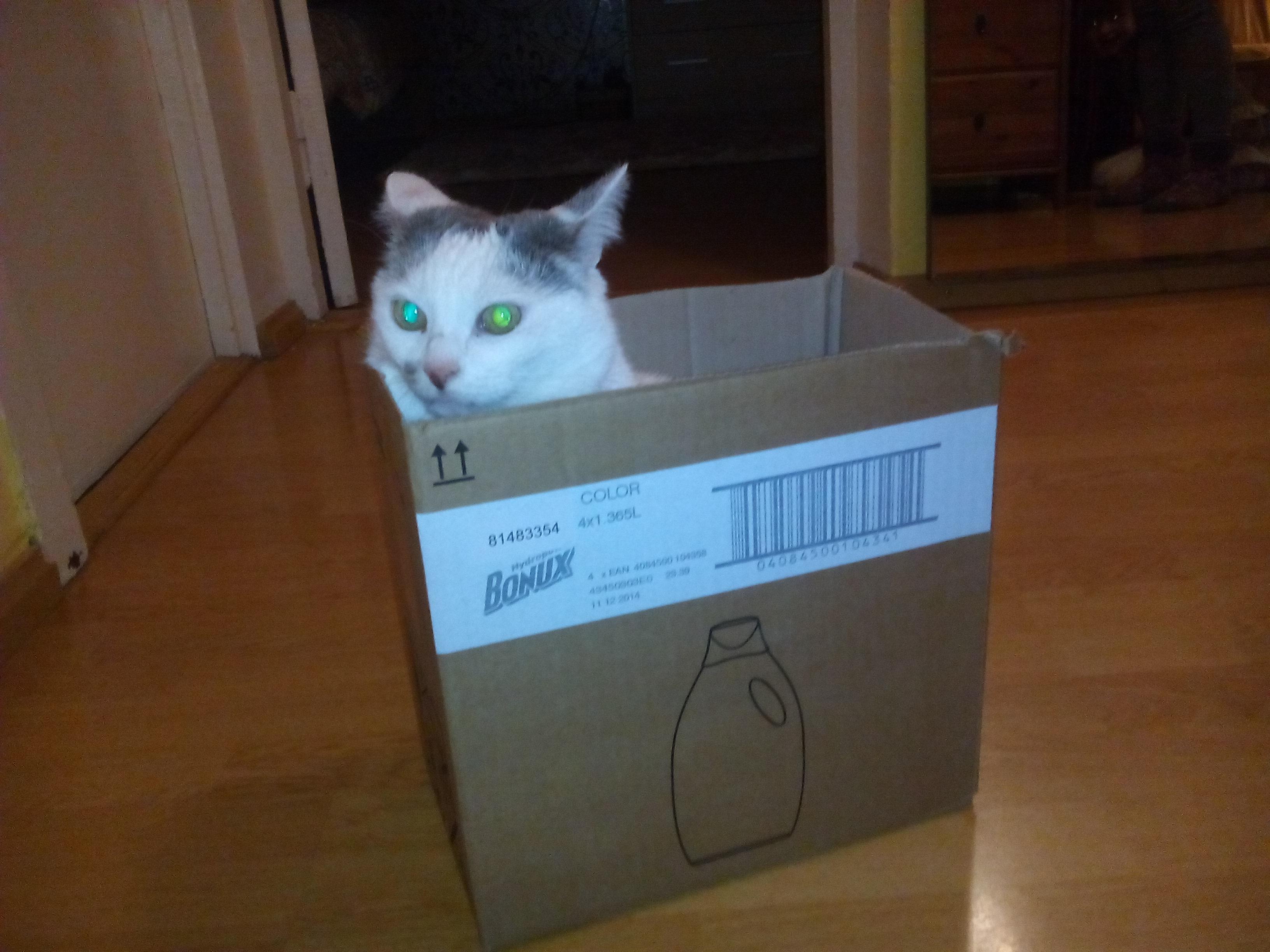 Does She count? | Scrolller