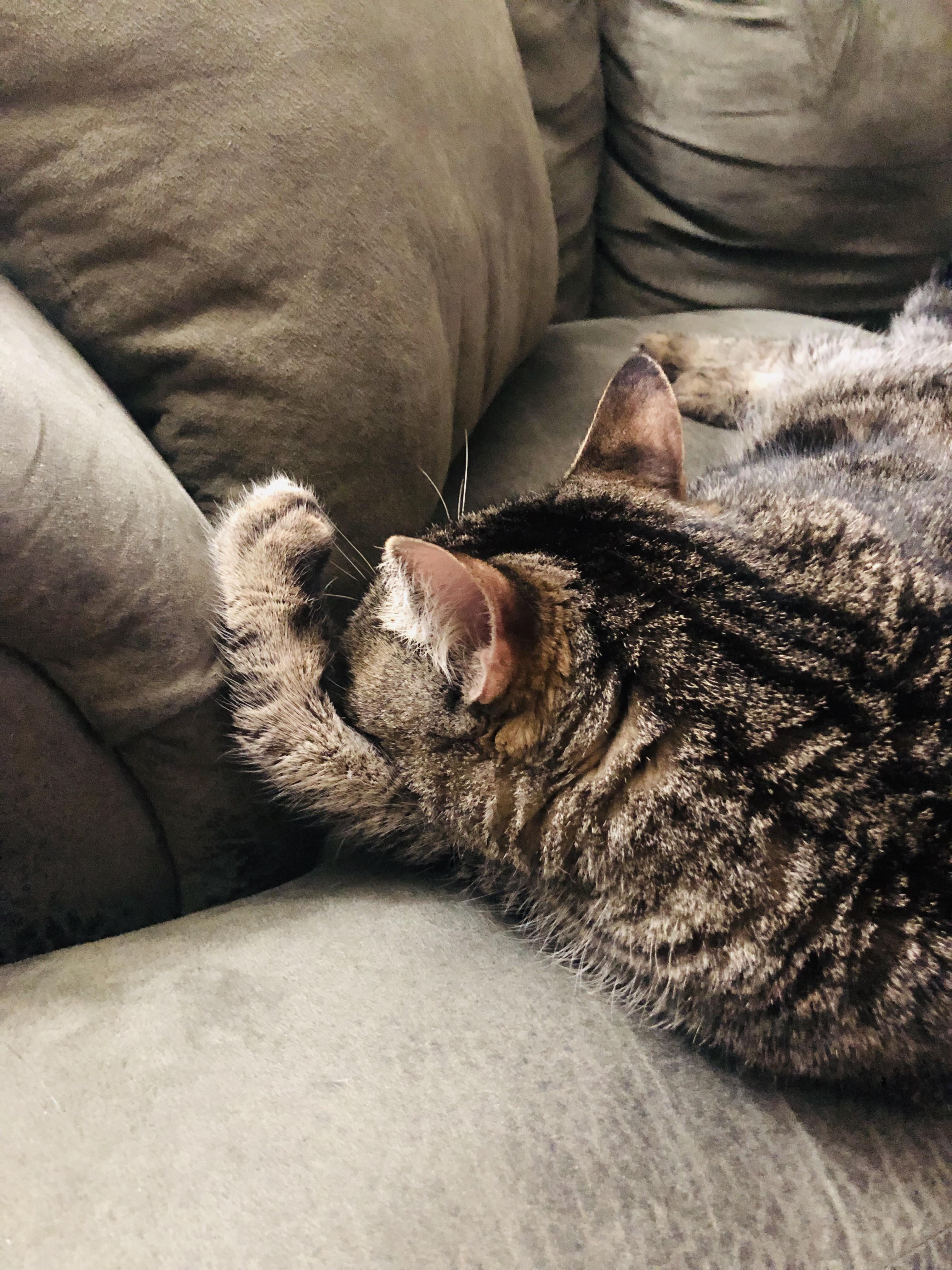 Does this count? | Scrolller