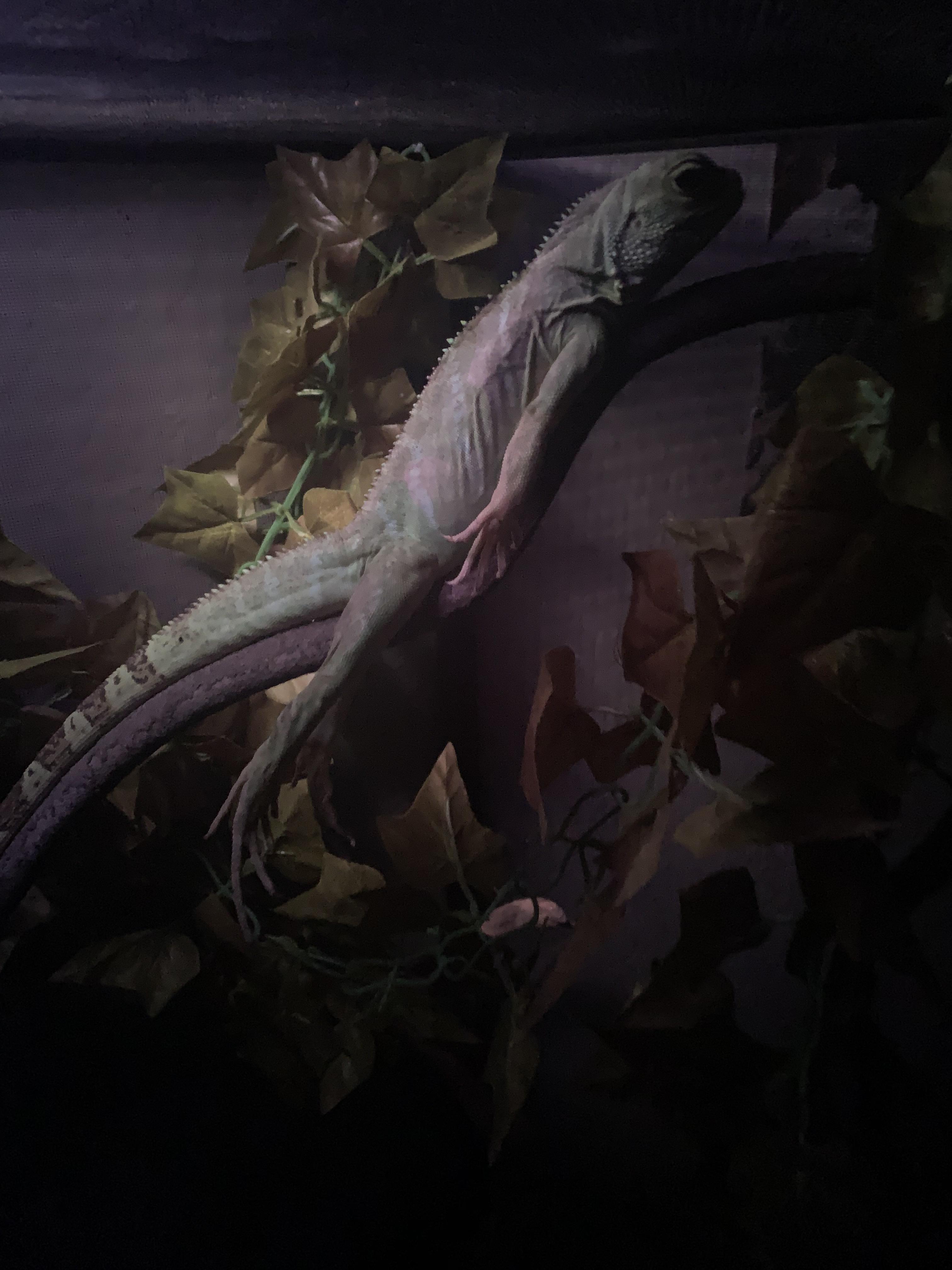 Does this count? | Scrolller