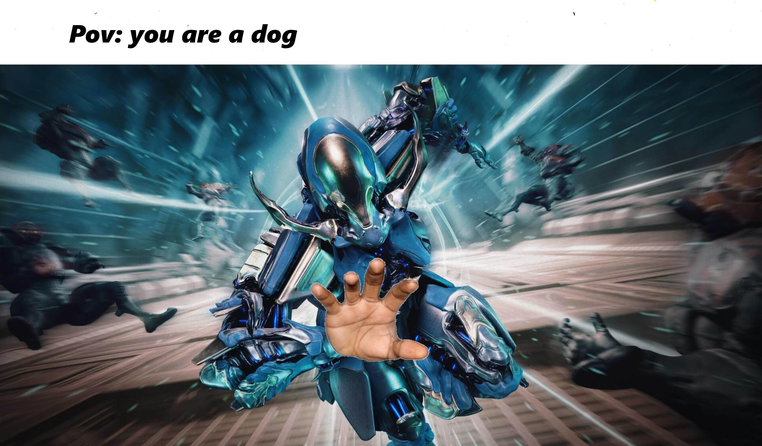 dog is good for pet | Scrolller