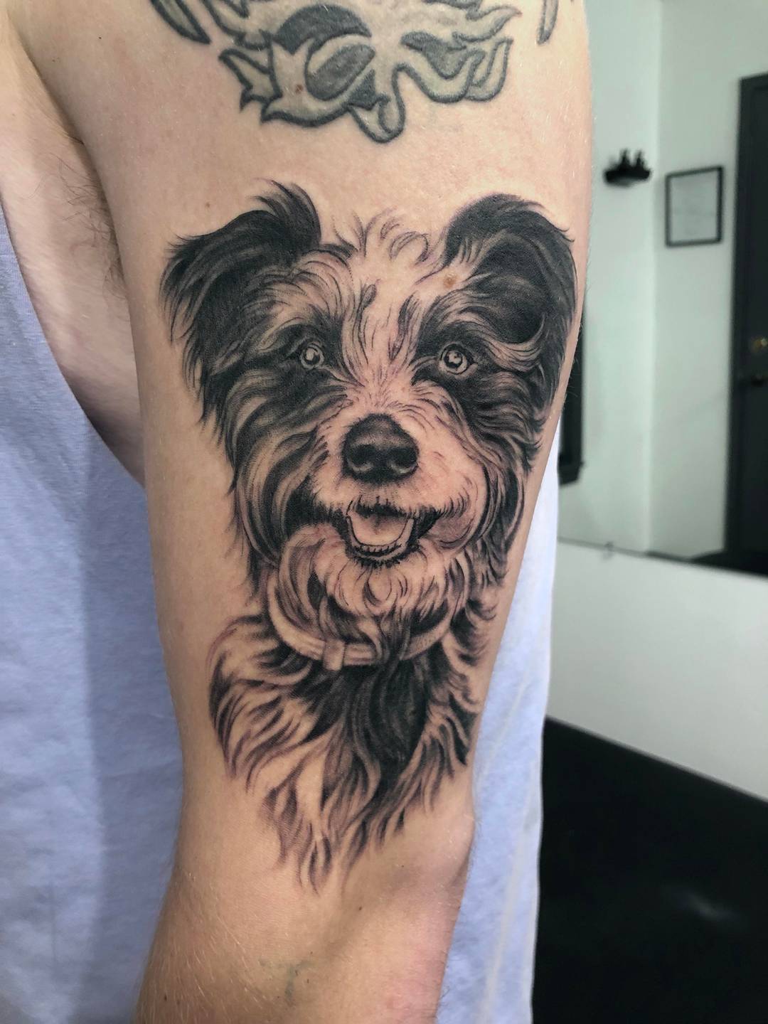 Dog portrait by Rich at Orichinal Arts Burlington, VT | Scrolller