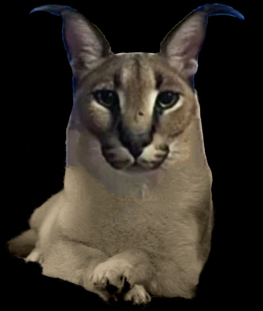 DOGE FLOPPA | Scrolller