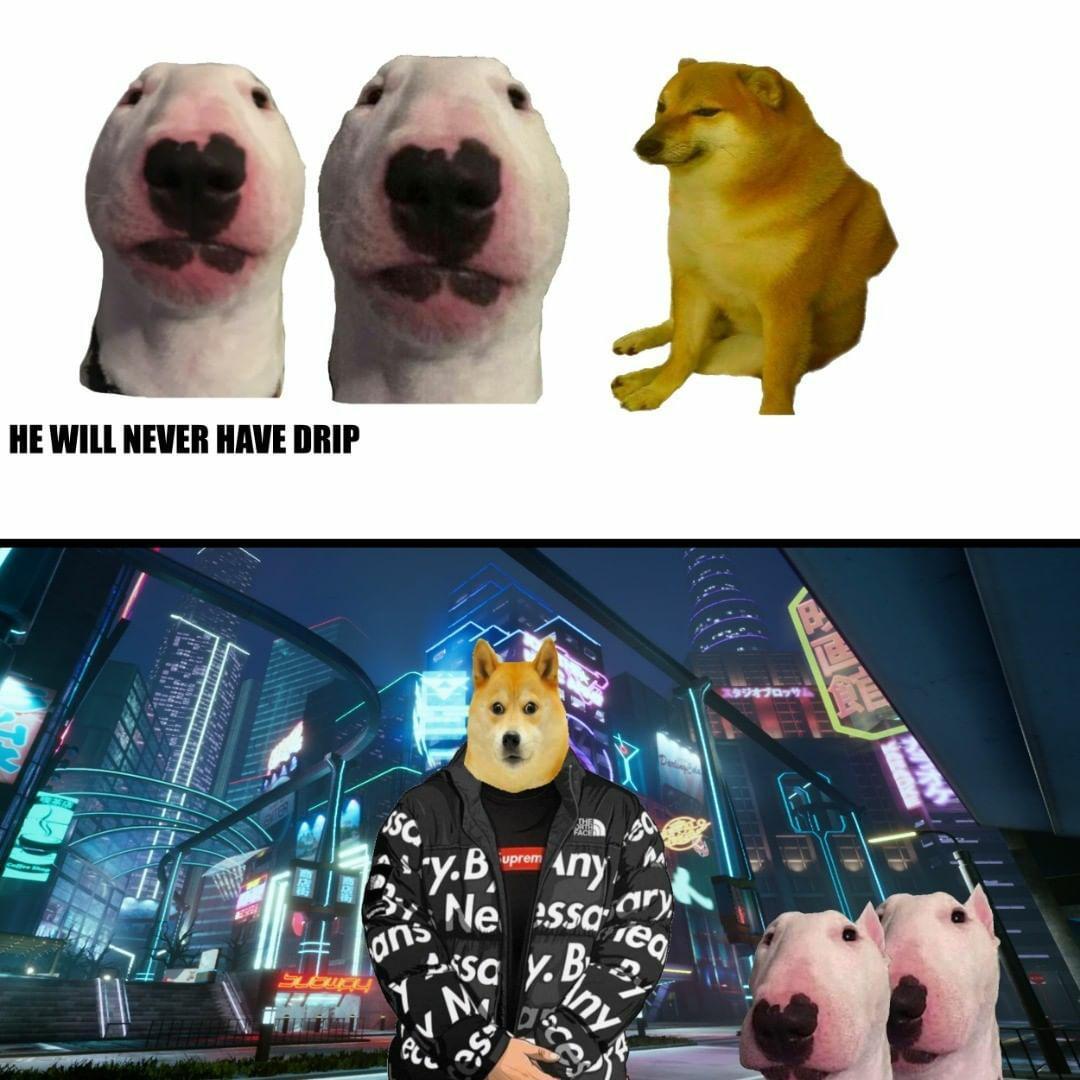 Doge got drip | Scrolller