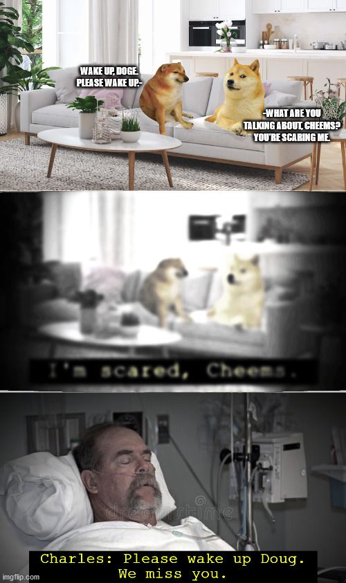 Doge is over. Pack your bags. Go home. | Scrolller