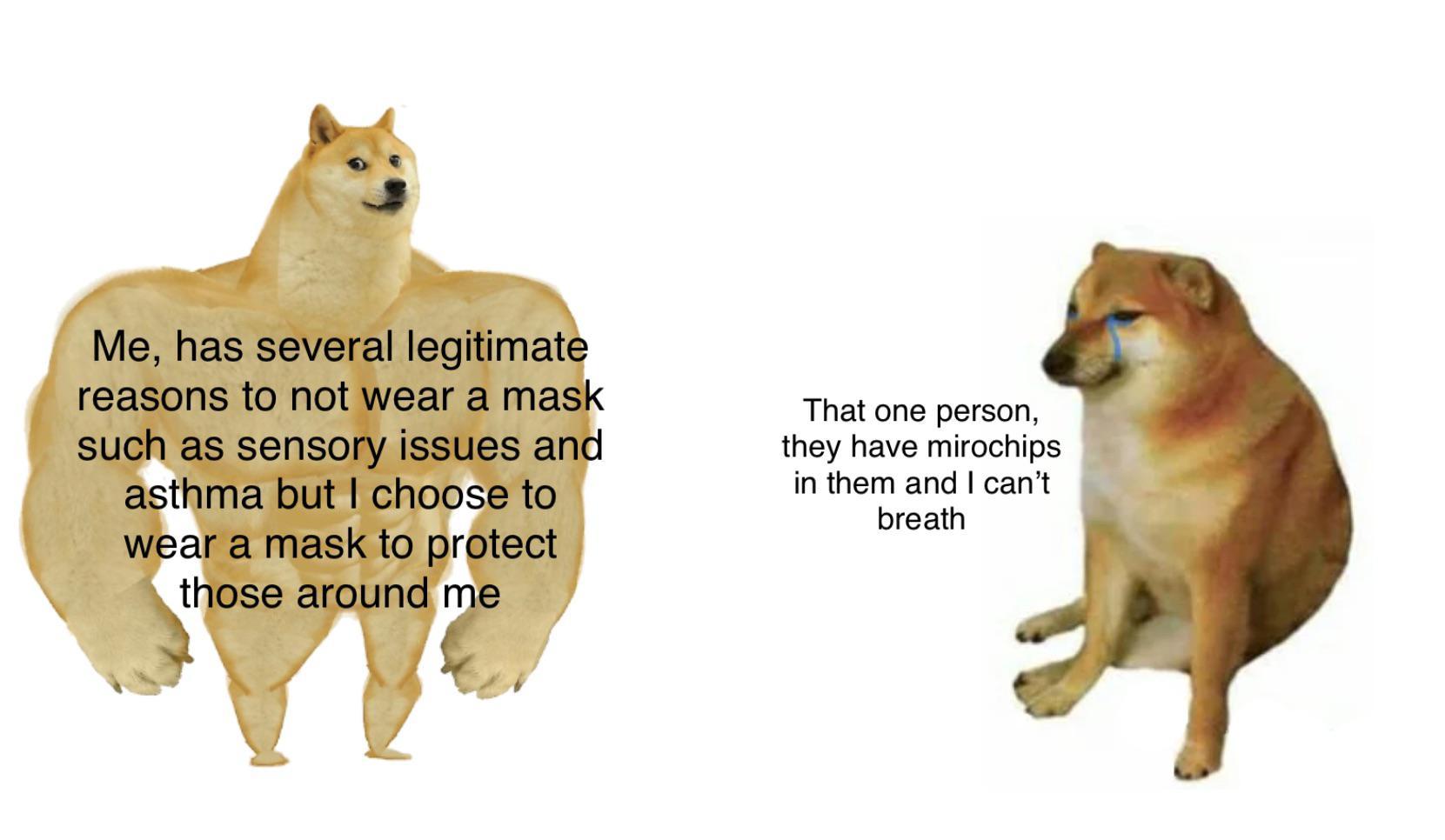 Doge meme | Scrolller