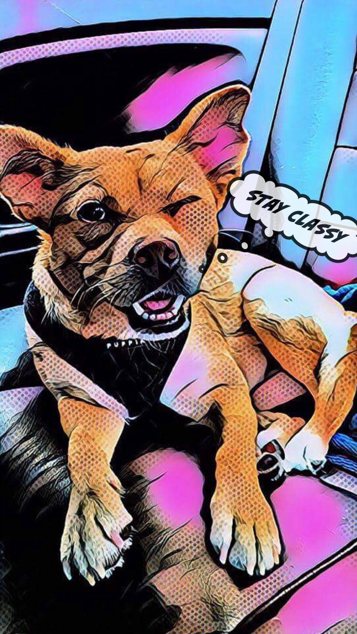 Doge Pop Art!! | Scrolller