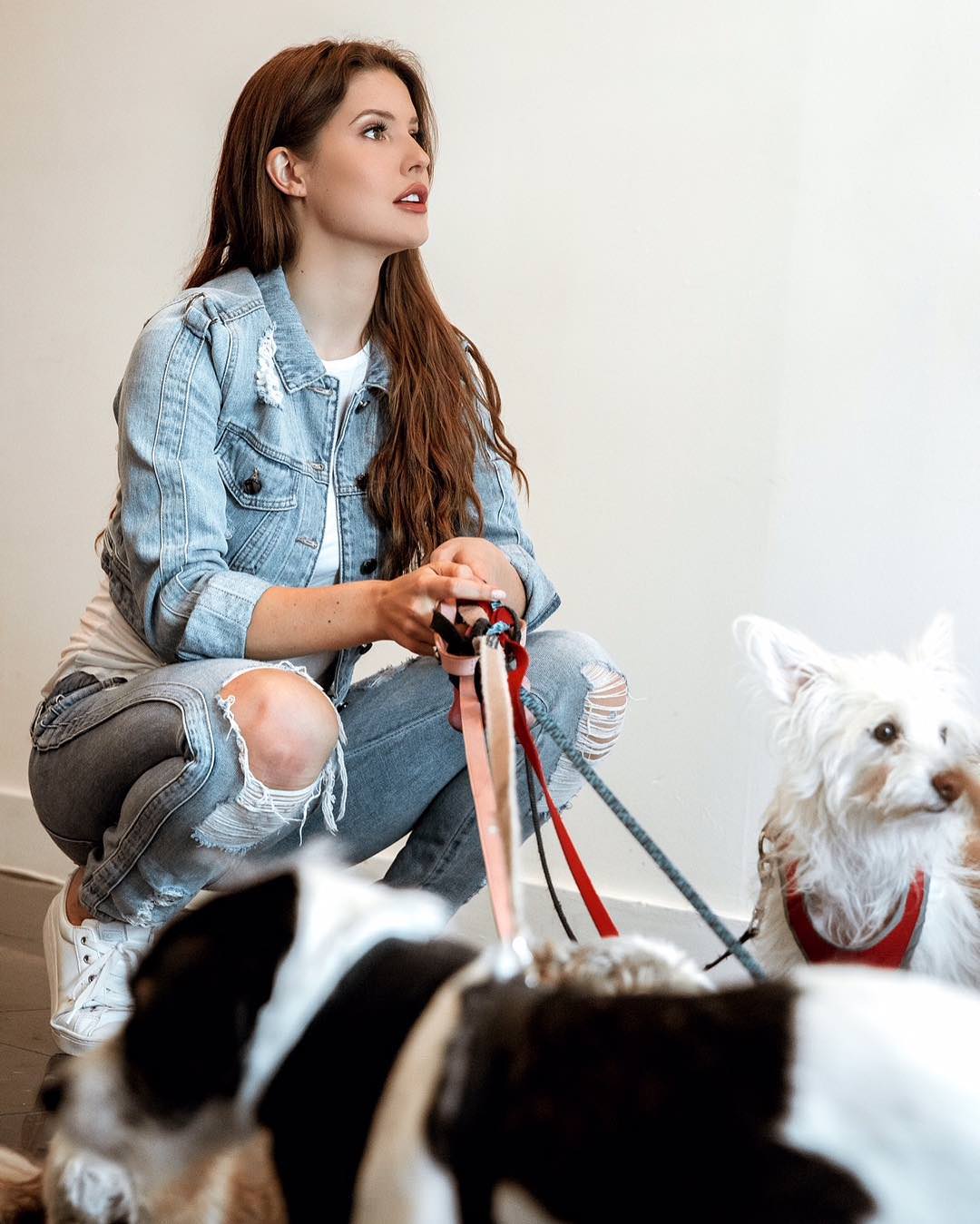 Discover more like AmandaCerny: Dogs and Related Content | Scrolller