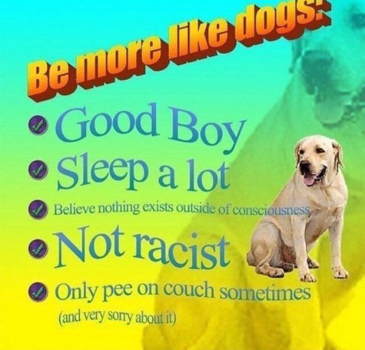 Dogs good people bad | Scrolller