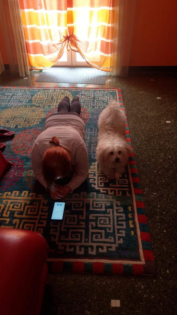 Doing plank together | Scrolller