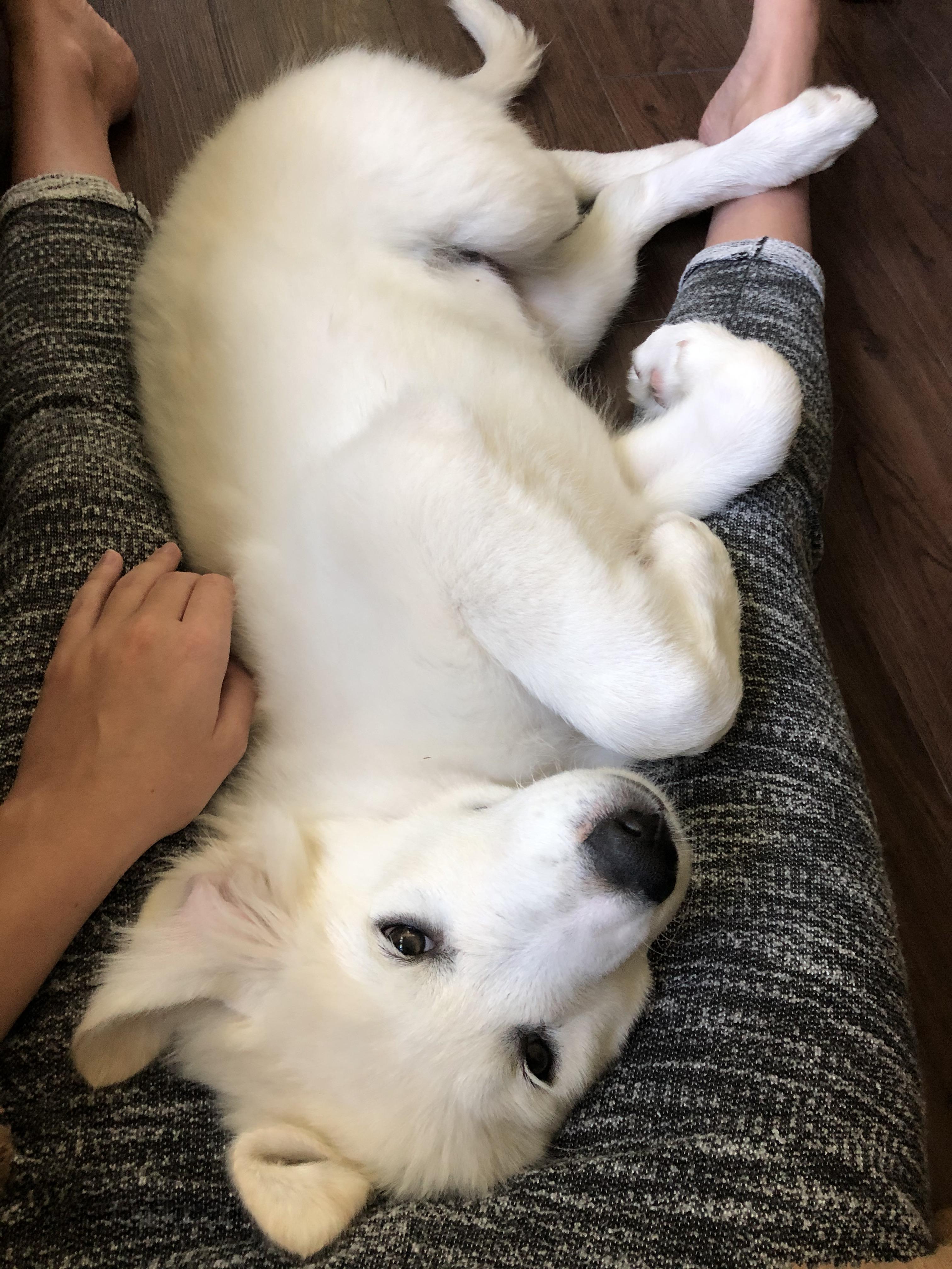 doing what she does best - distracting me from all my responsibilities | Scrolller