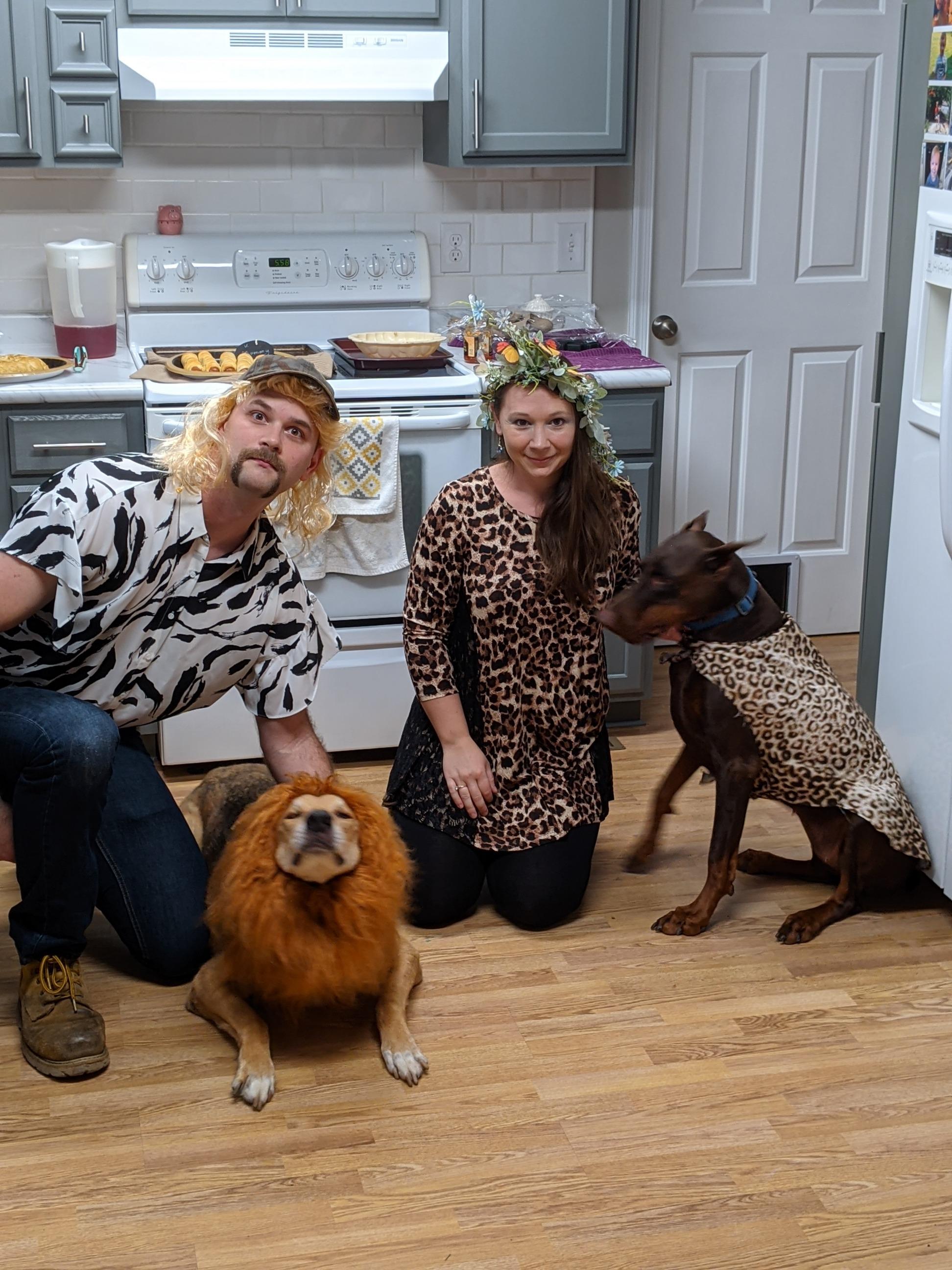 Dollar store tiger king | Scrolller