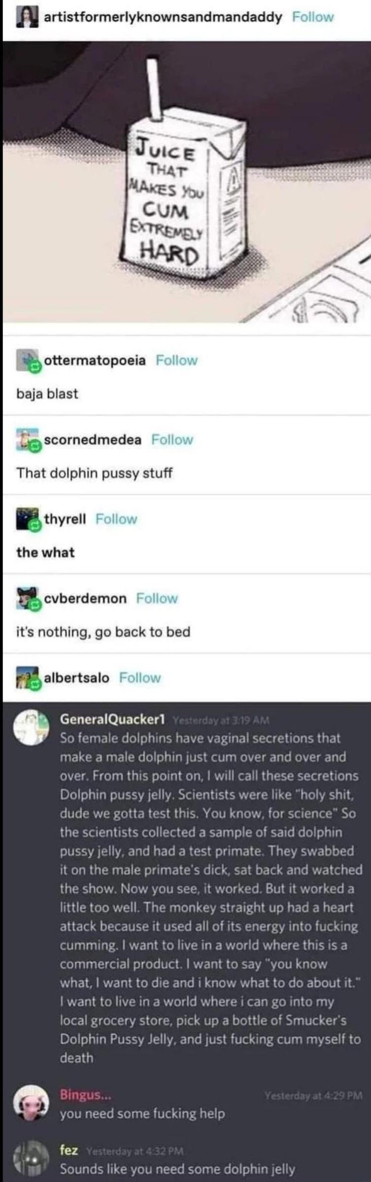 Dolphin Rule | Scrolller