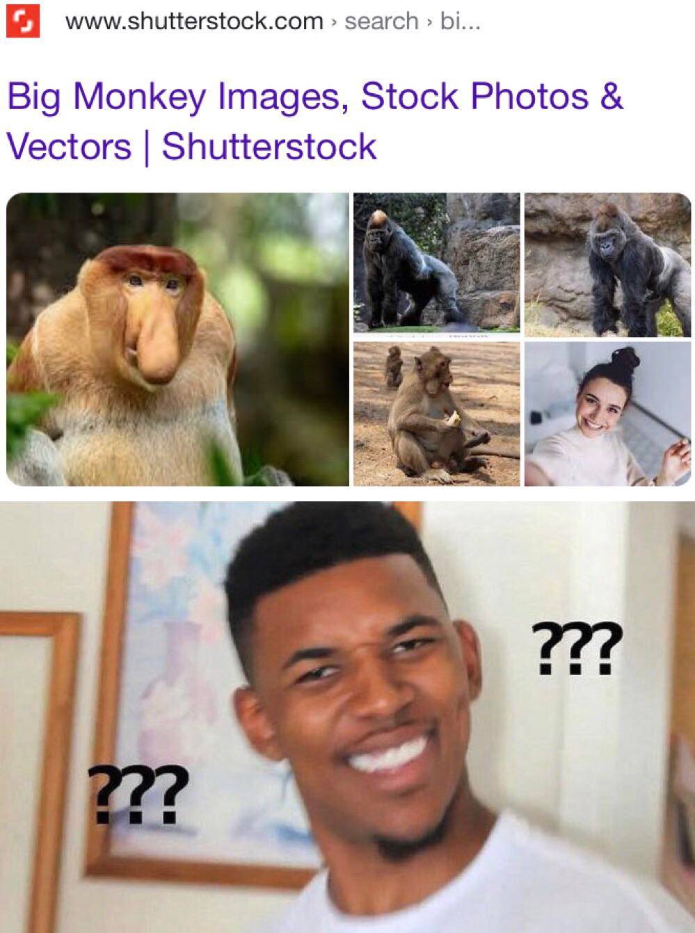 Don’t ask why I googled Big monkey.. | Scrolller