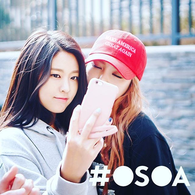 DongDong wants to build a wall | Scrolller