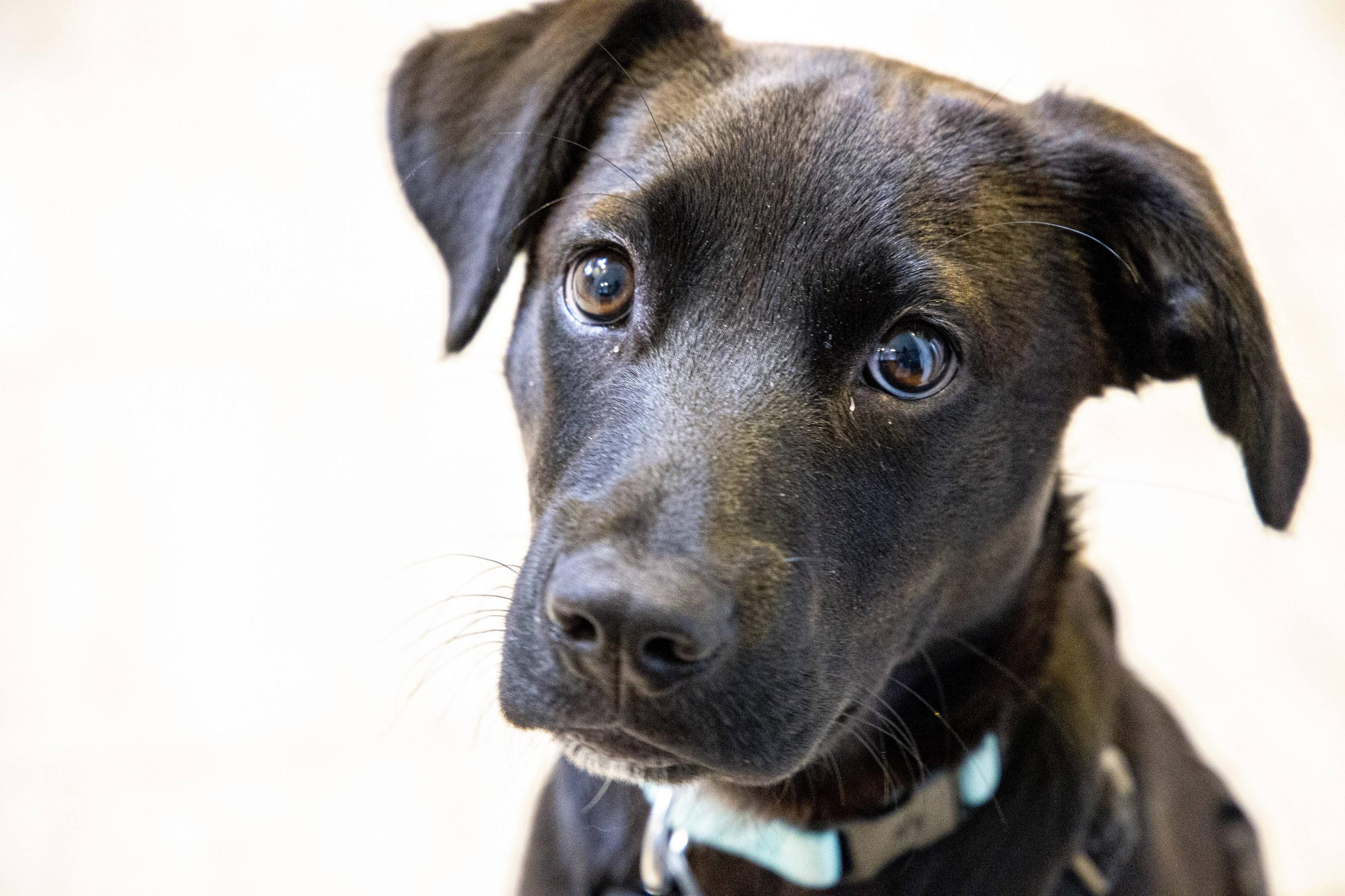 Don't call it a comeback: Just call her Cali. | Scrolller